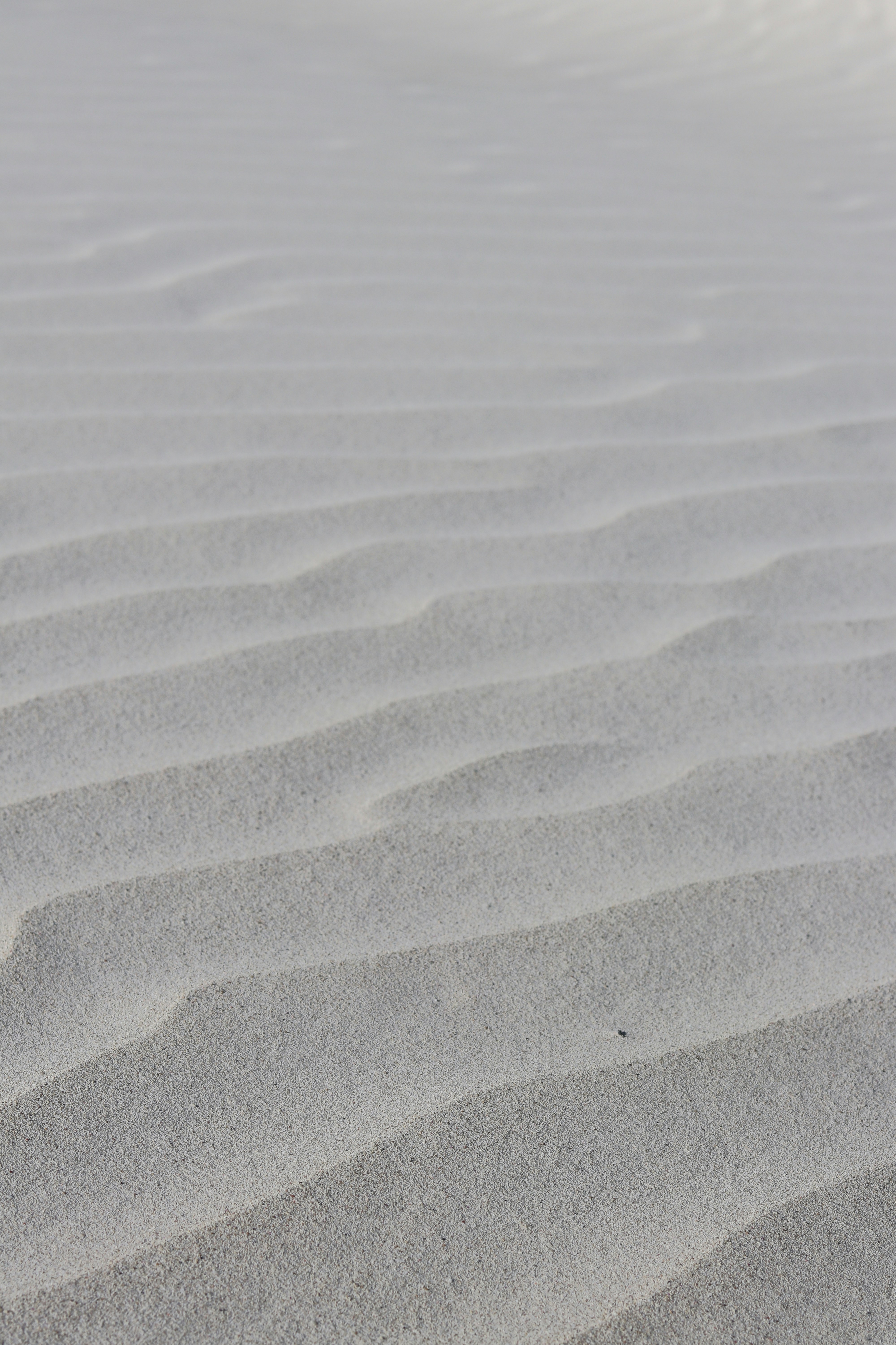A white sand dune with small ridges in the sand photo – Free Perth wa ...