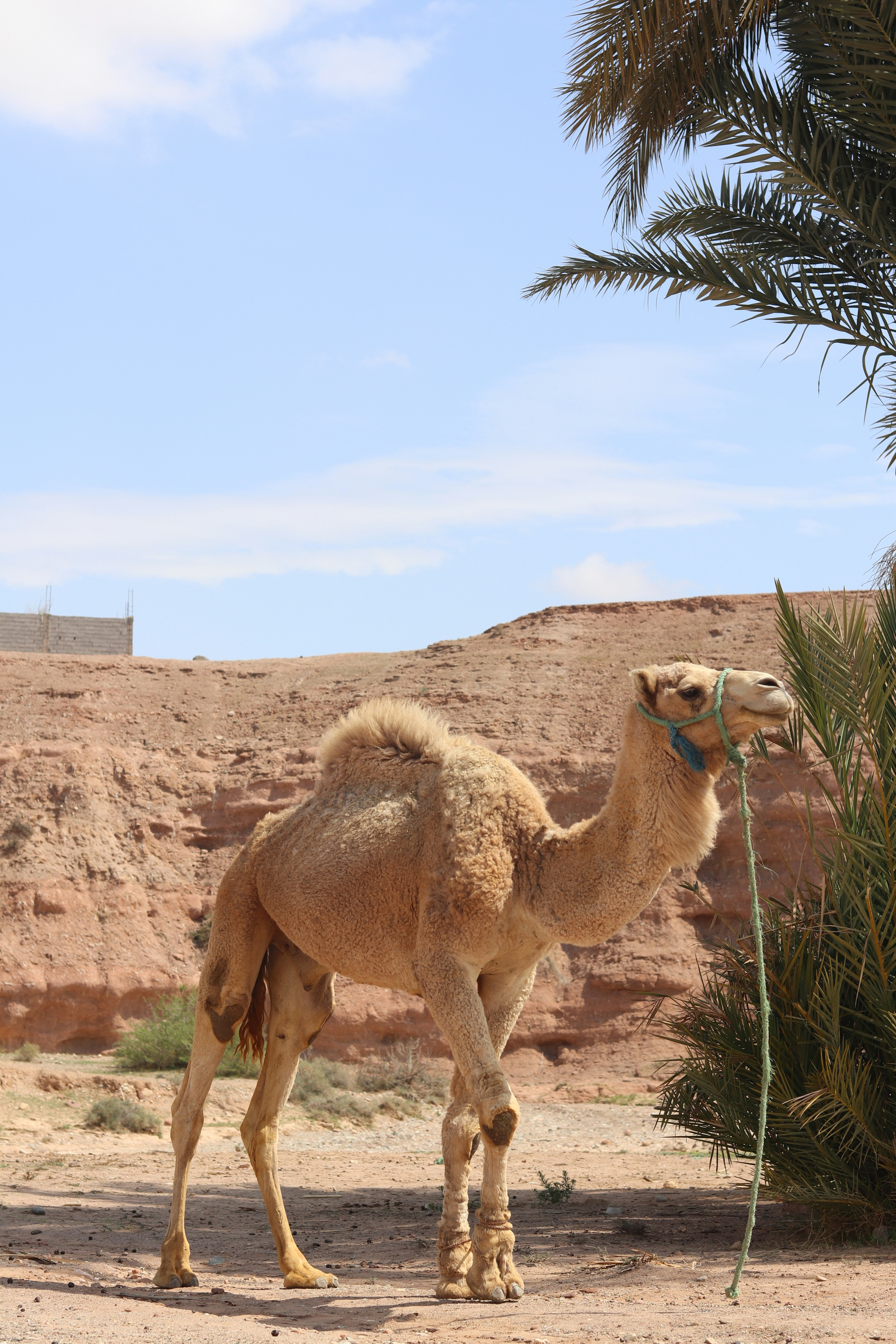 Photo by Bil Ali with Canon EOS 800D