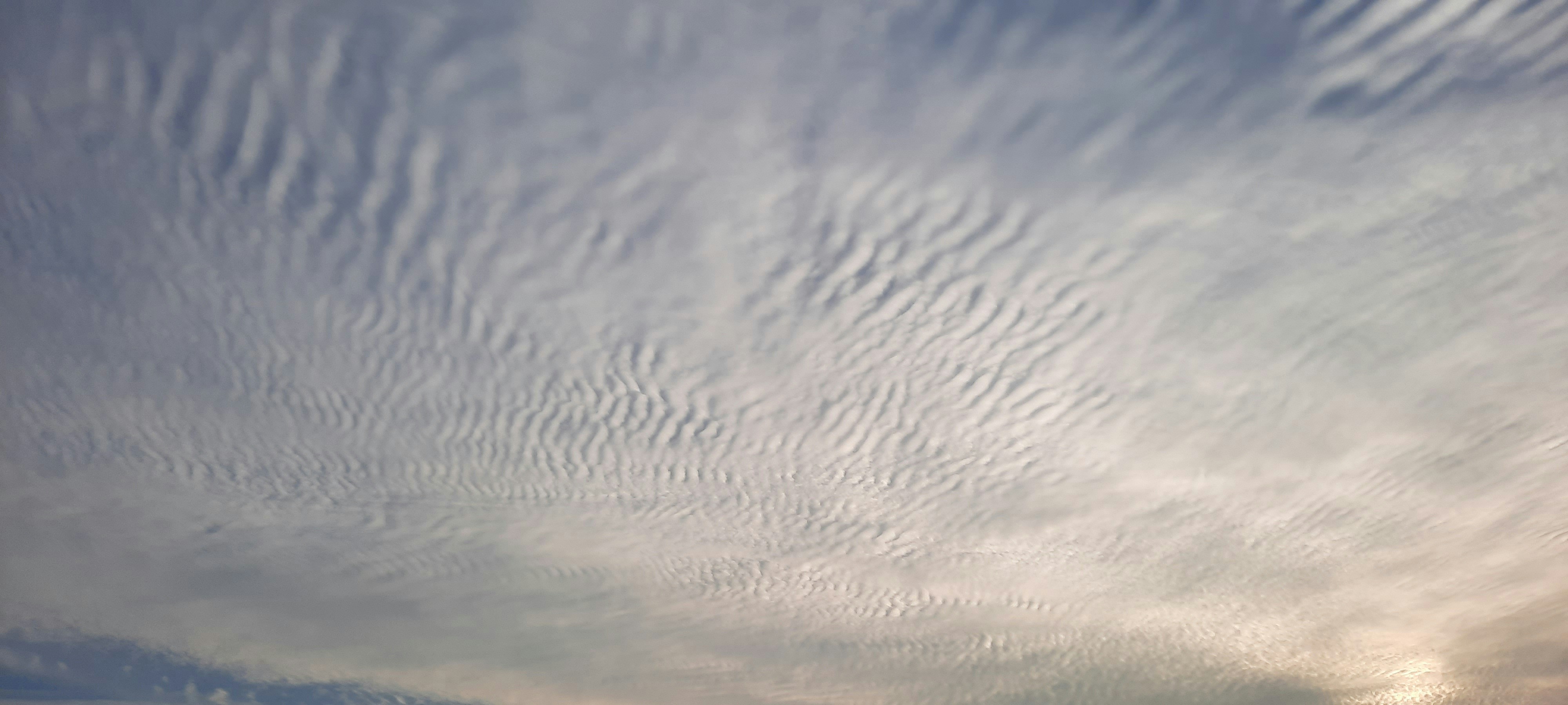 Soft altocumulus clouds spread in rippled rows across the sky, captured in a calm wide-shot at dawn.