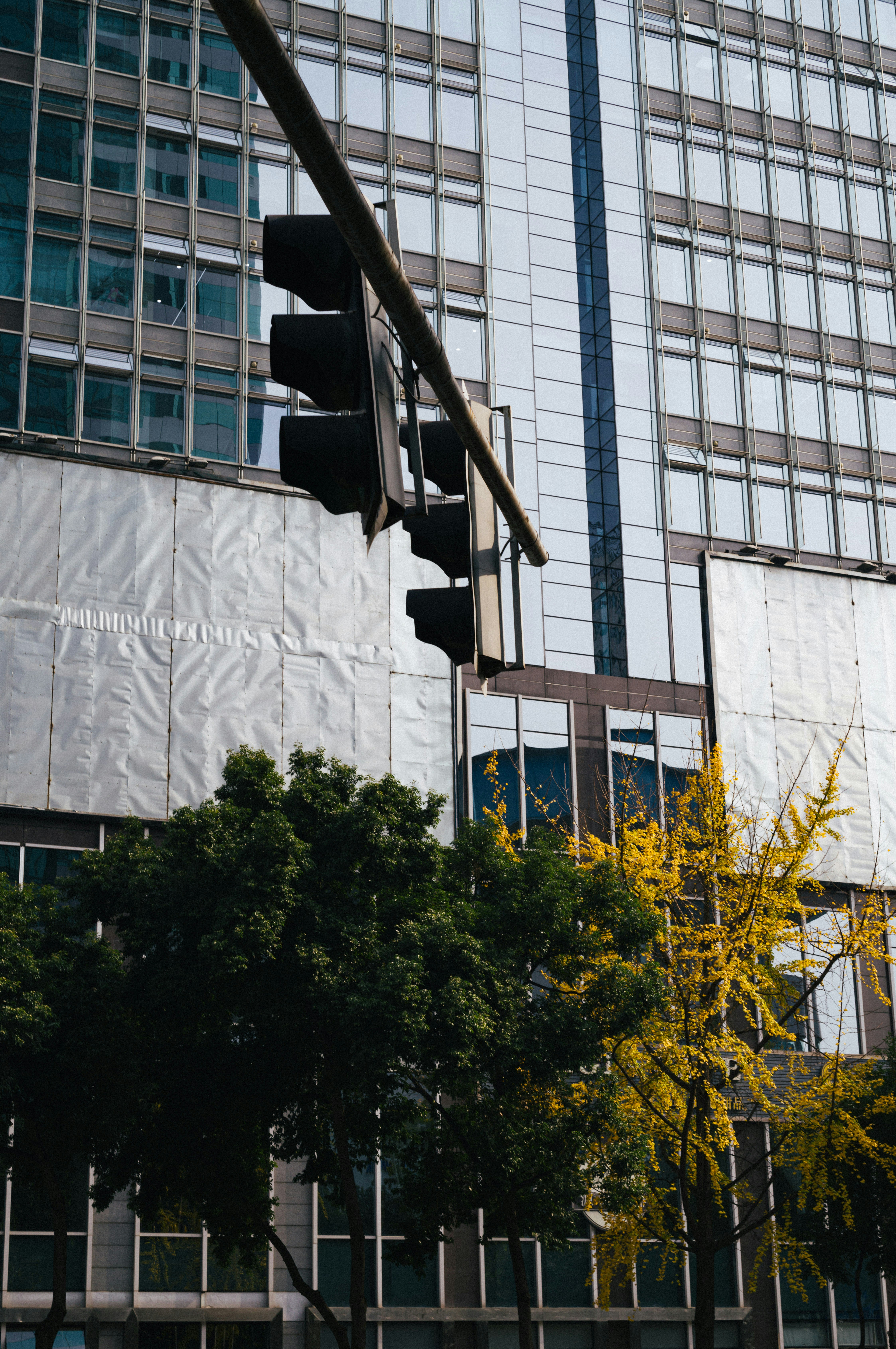 A traffic light in front of a tall building photo – Free Building Image ...