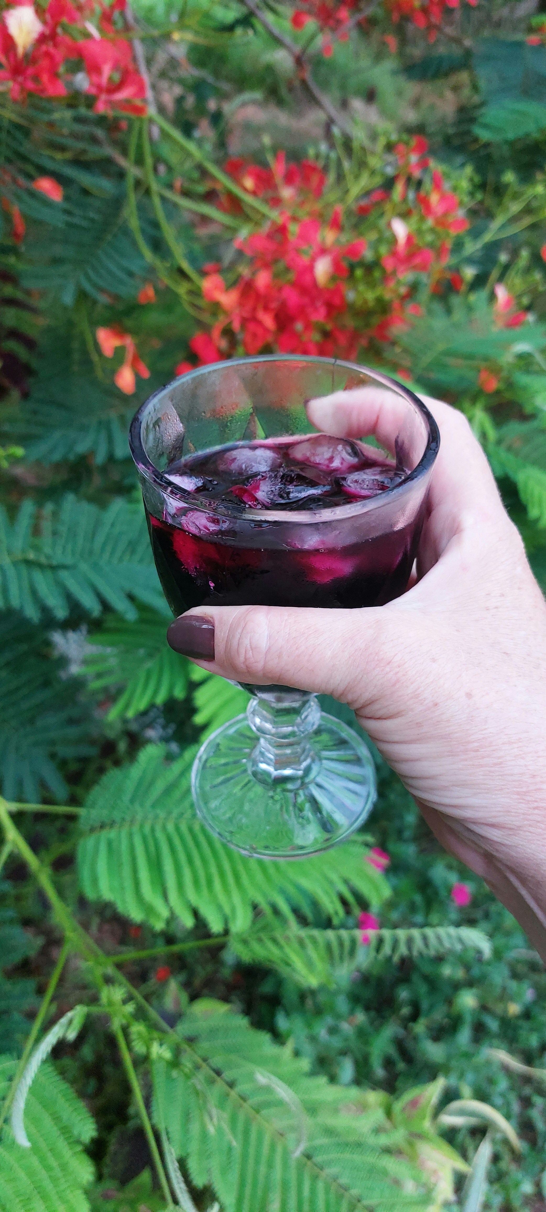 Toast in the Garden: A Glass of Red Sunset
