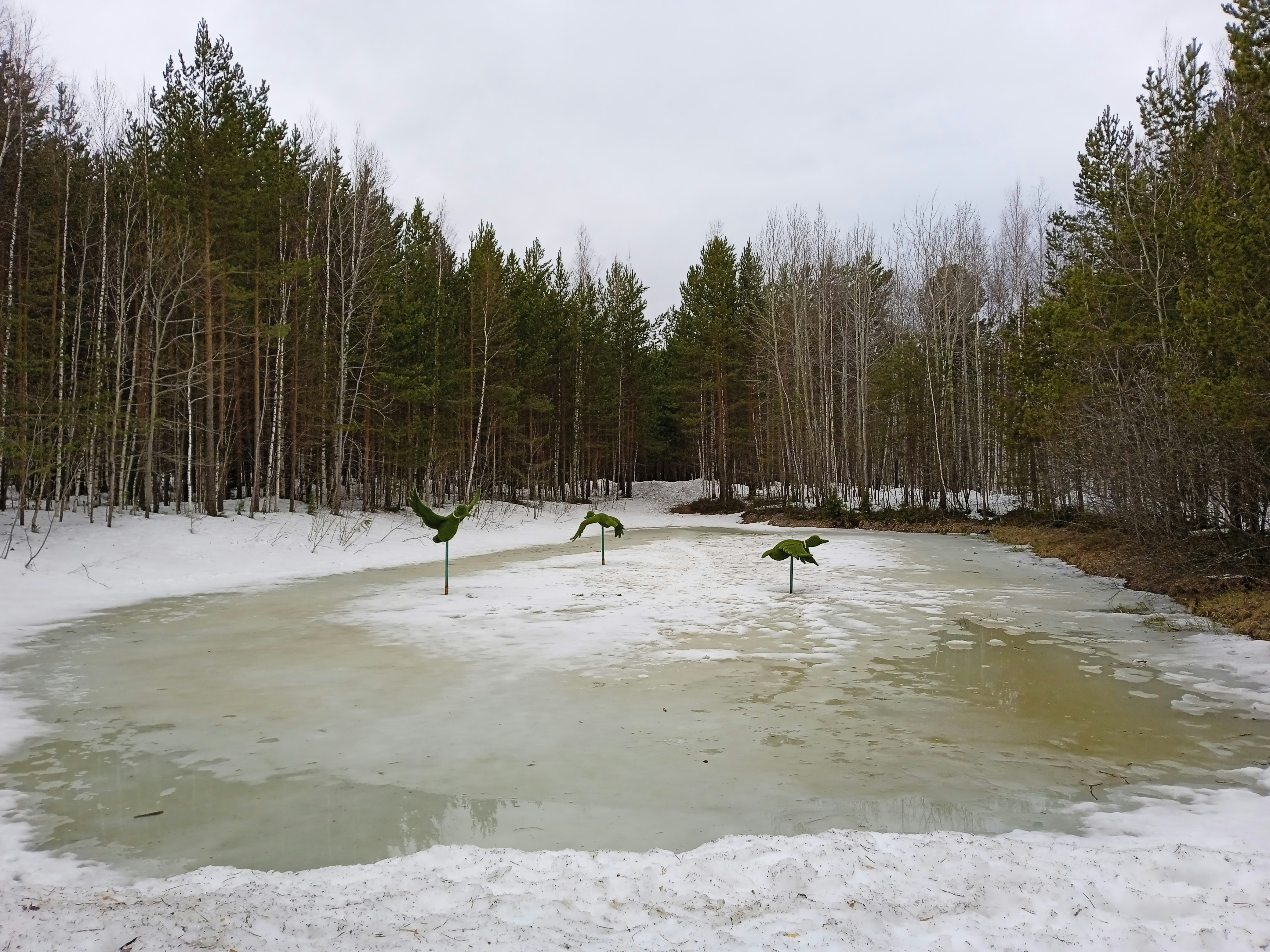 A frozen pond in the middle of a forest photo – Free Forest Image on ...