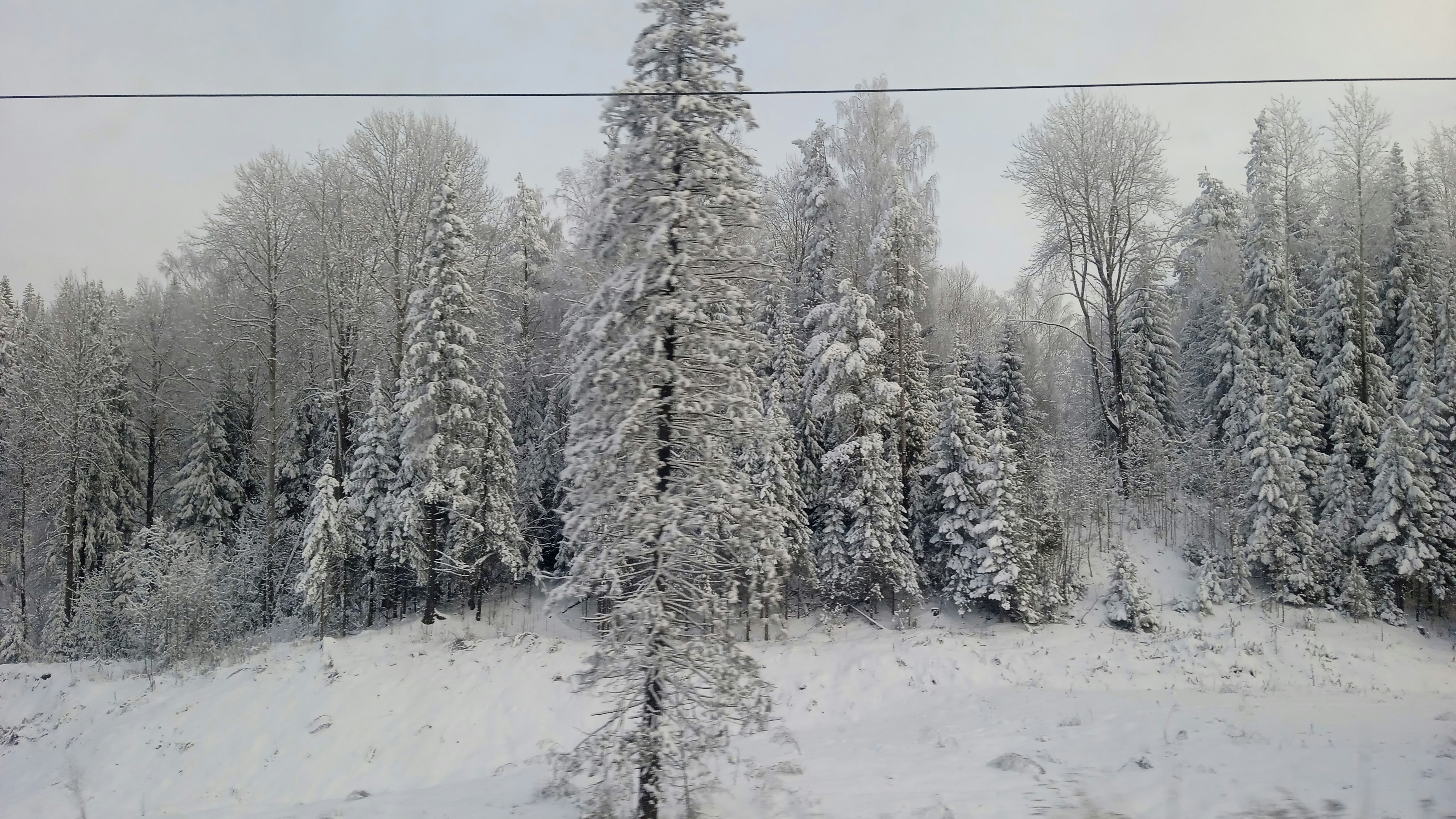 Photo by A.Kwiatek Schwarzkopf with Xiaomi Redmi 9A