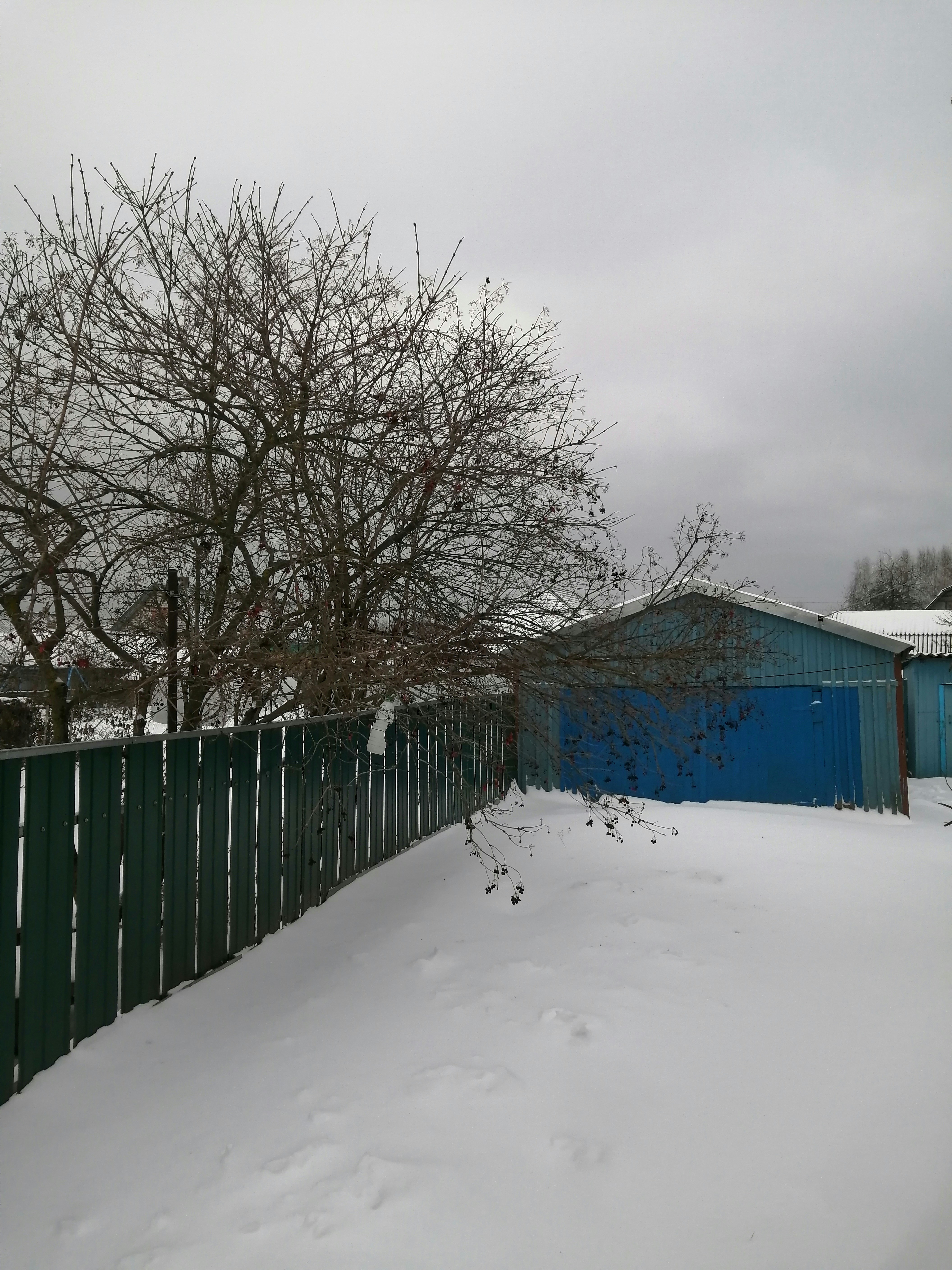 Photo by Irina Spotkai with Huawei P30 Lite