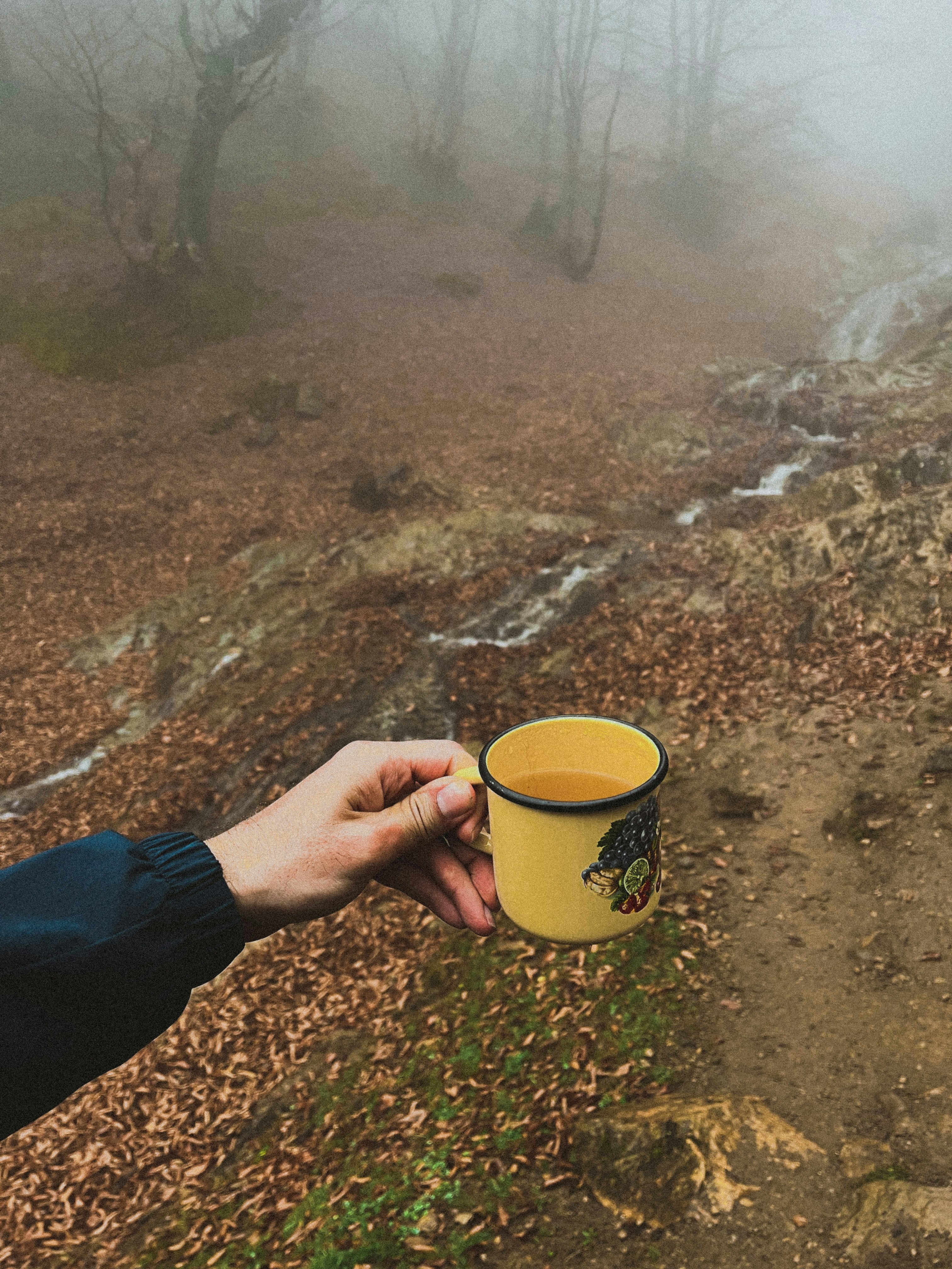Emerald mug in foggy autumn outback