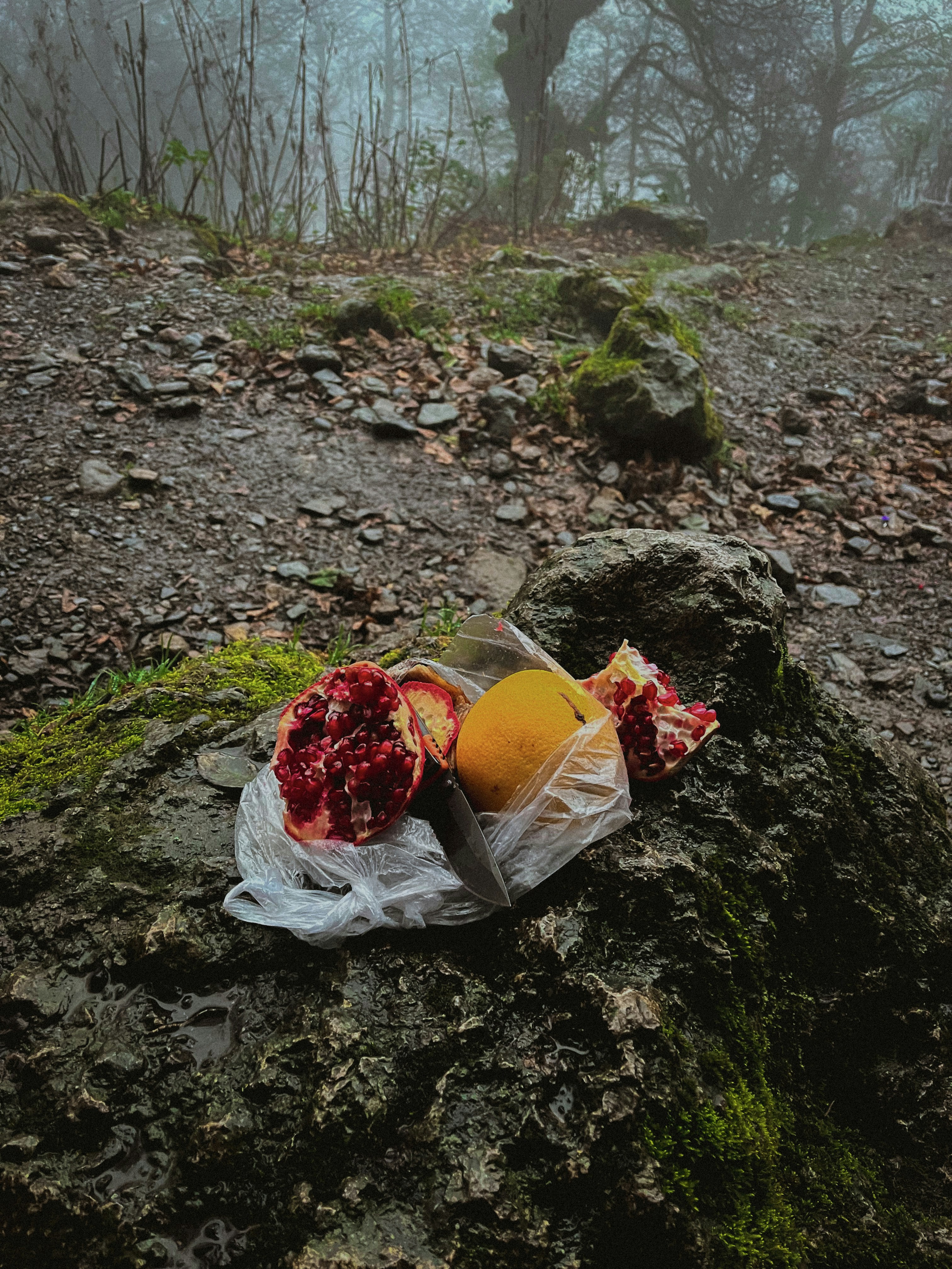 Crimson Arils and Citrus on a Mossy Rock in the Fog