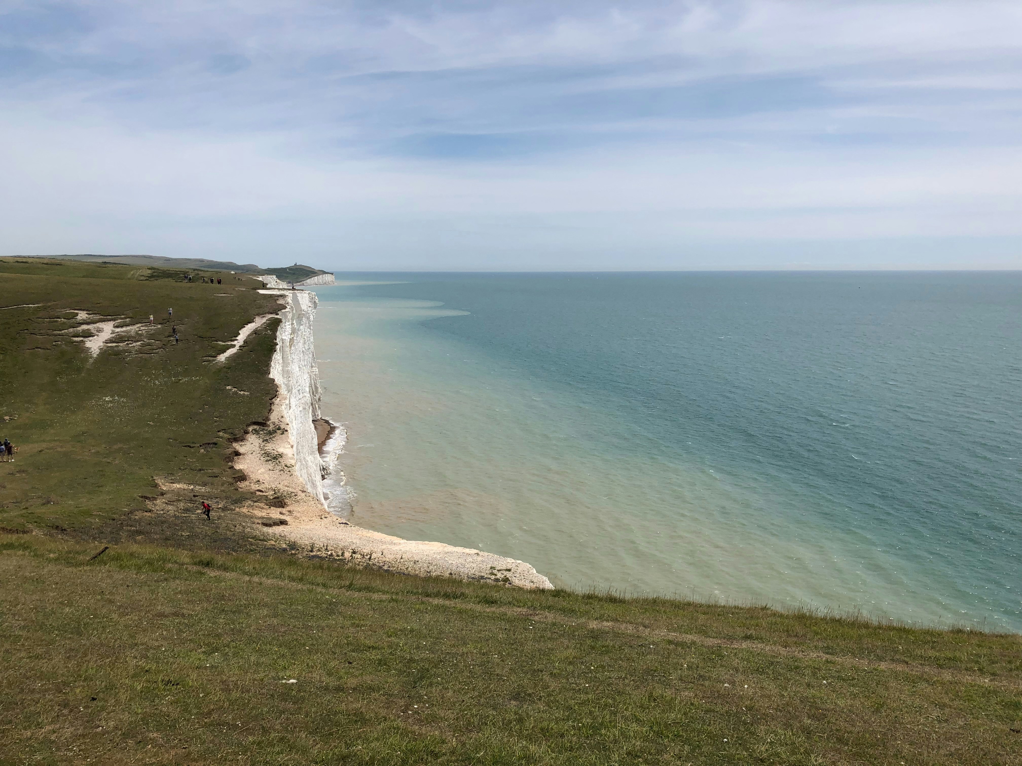 Person stands on a grassy cliff edge overlooking a vast, calm ocean under a clear sky.