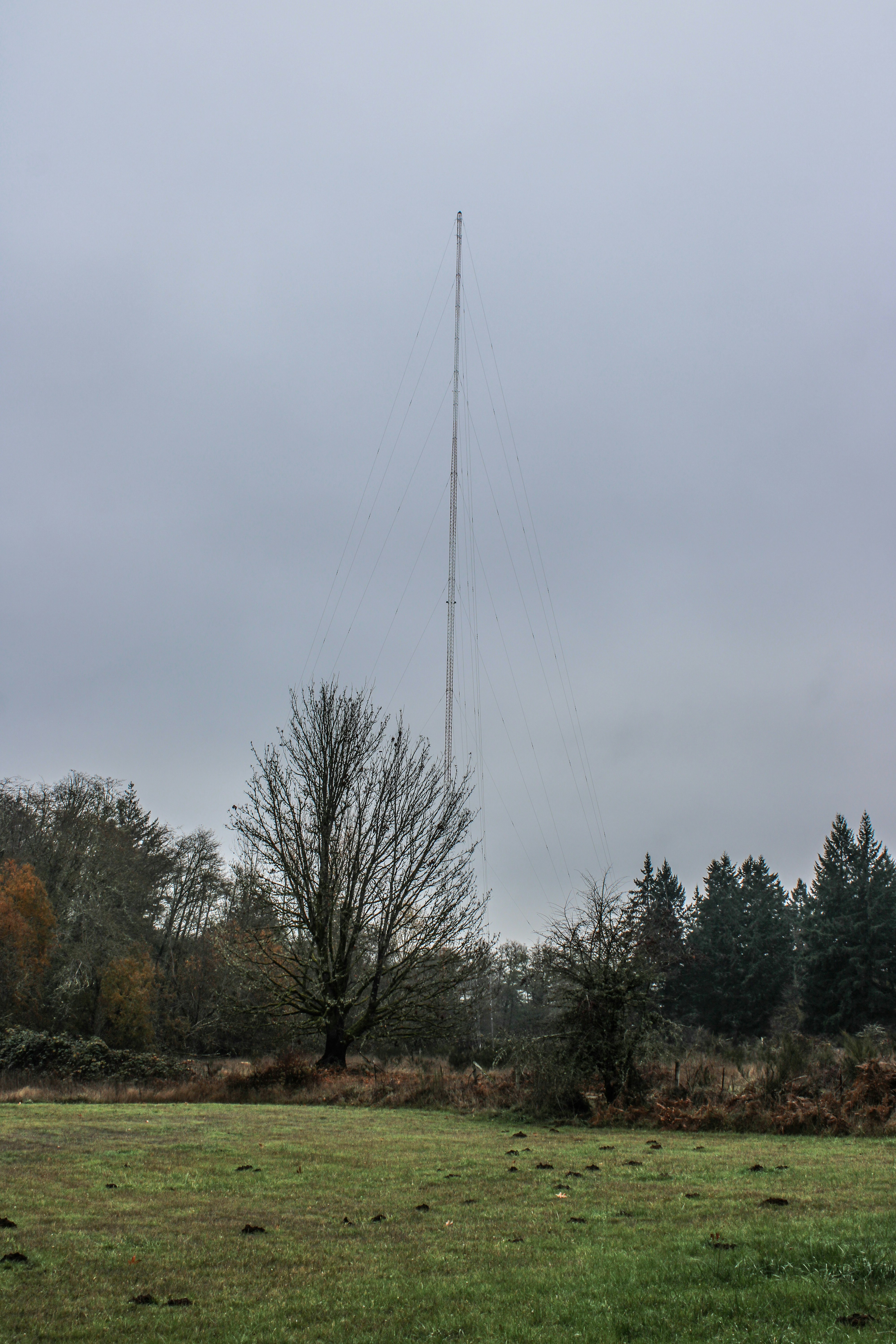 A very tall mast in the middle of a field photo – Free Grey Image on ...