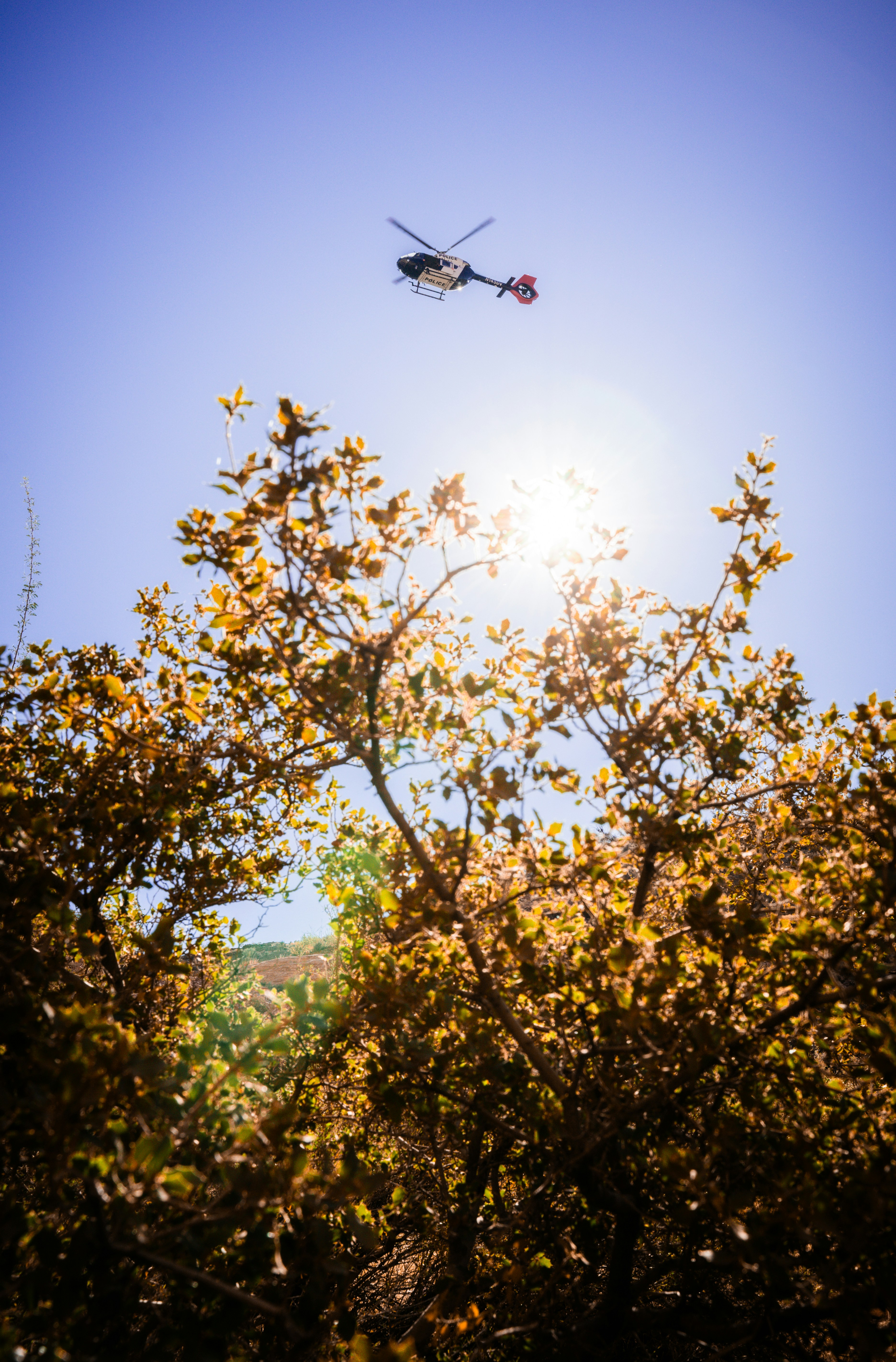 A helicopter flying over a tree filled forest photo – Free Red rock ...