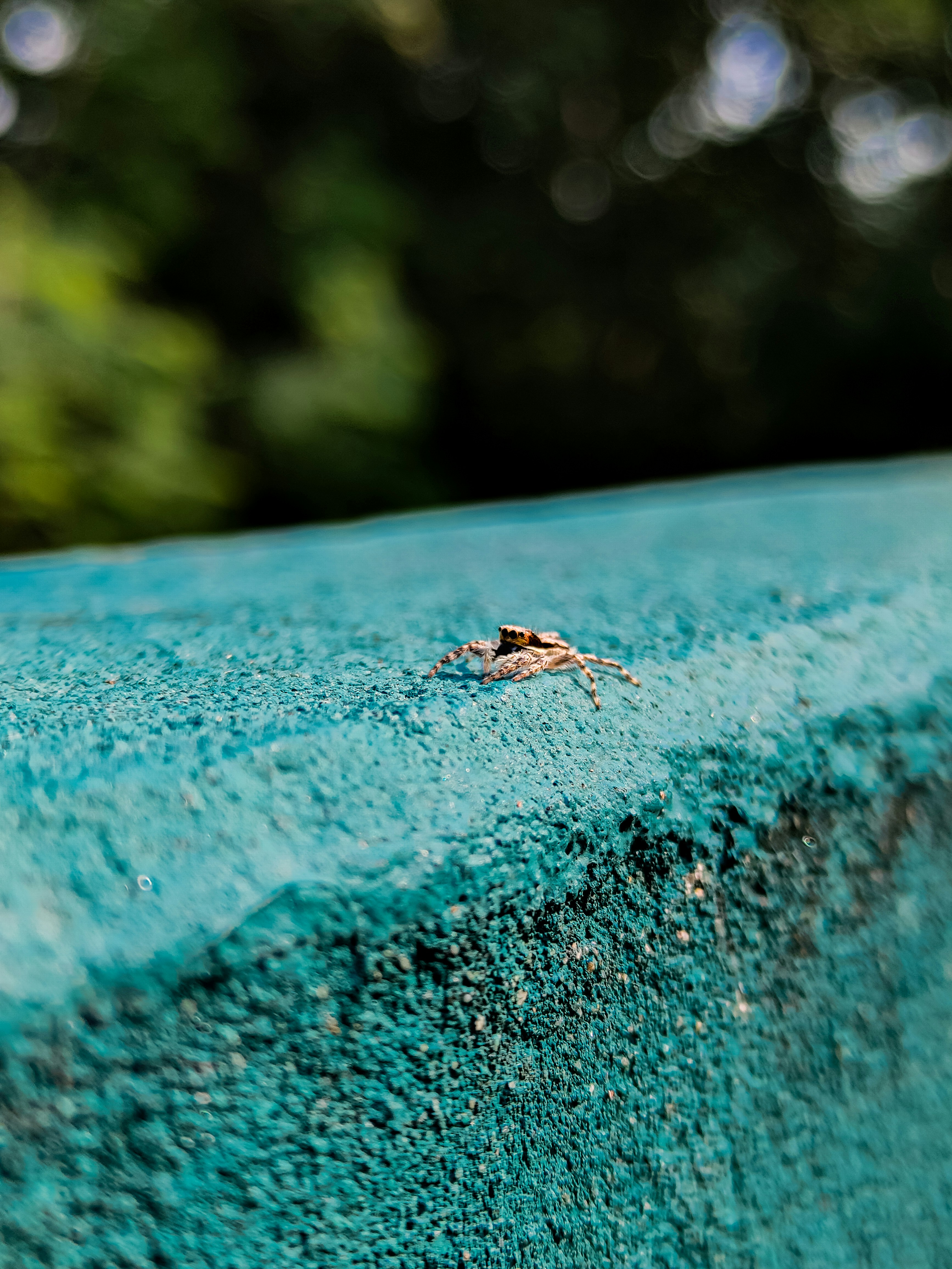 Photo by Wadud Emon with LG V60 ThinQ