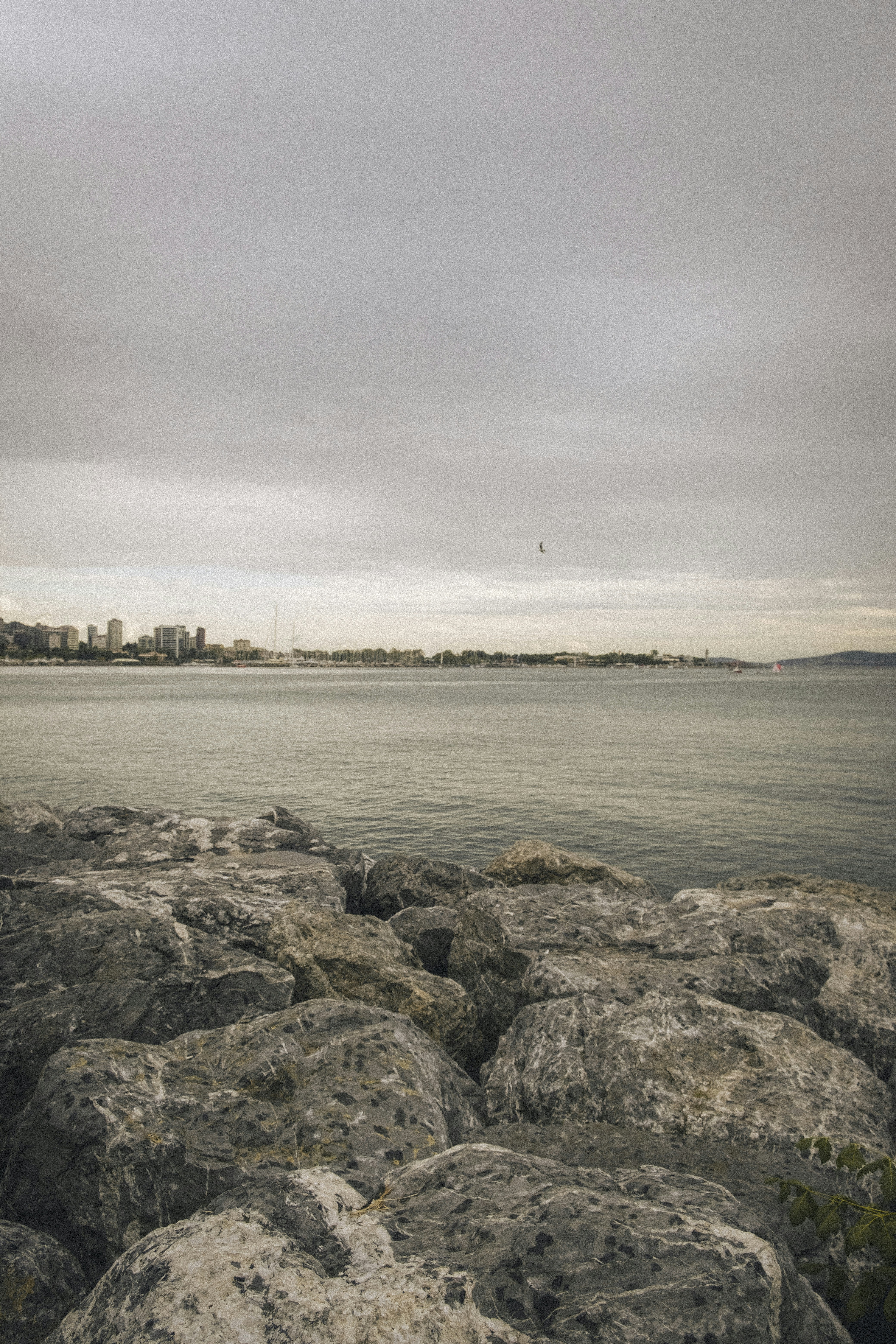 Granite Edge: A Quiet Seascape with a Distant Skyline under Grey Skies