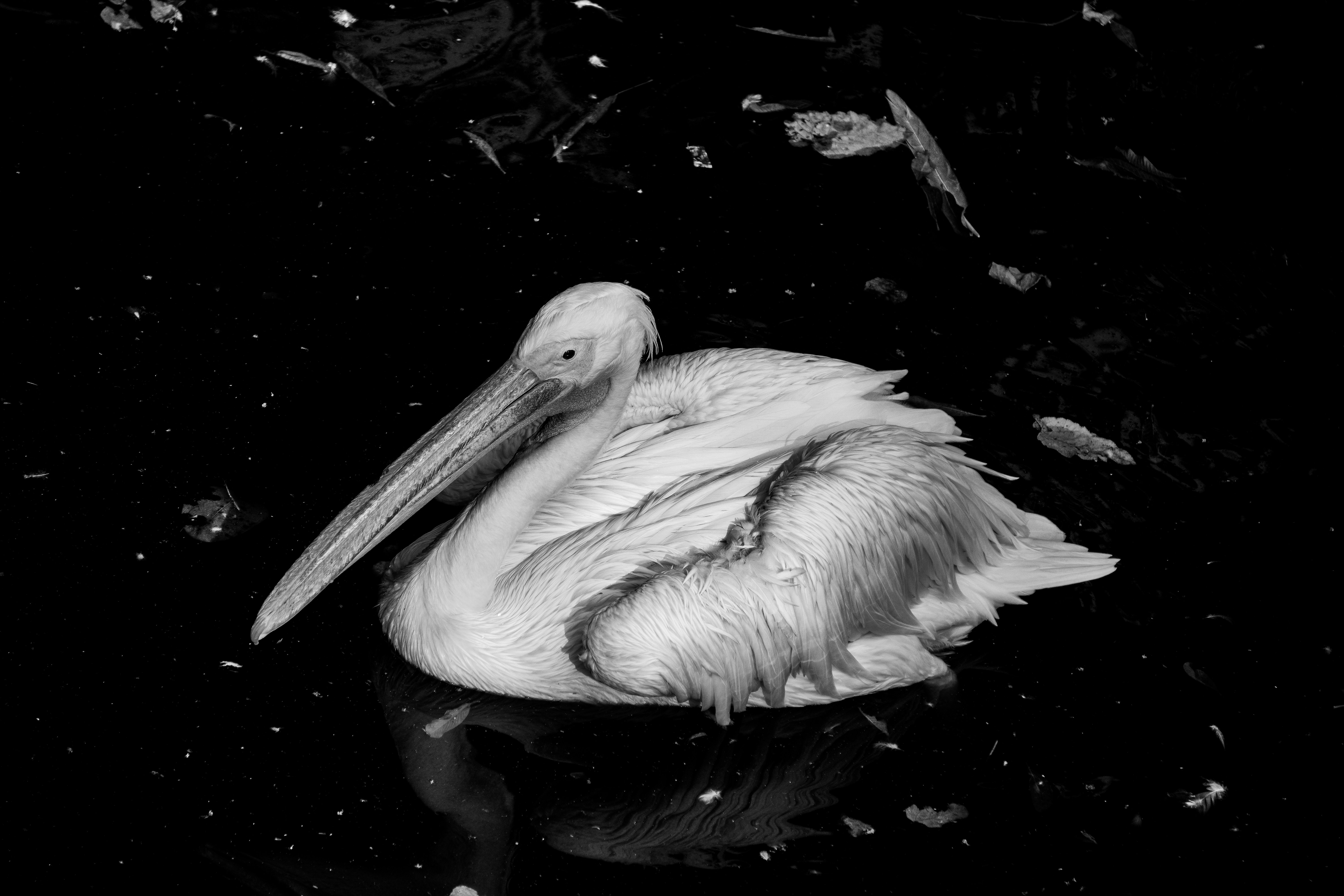 Photo by Gaurav Mishra with Sony Alpha 6100