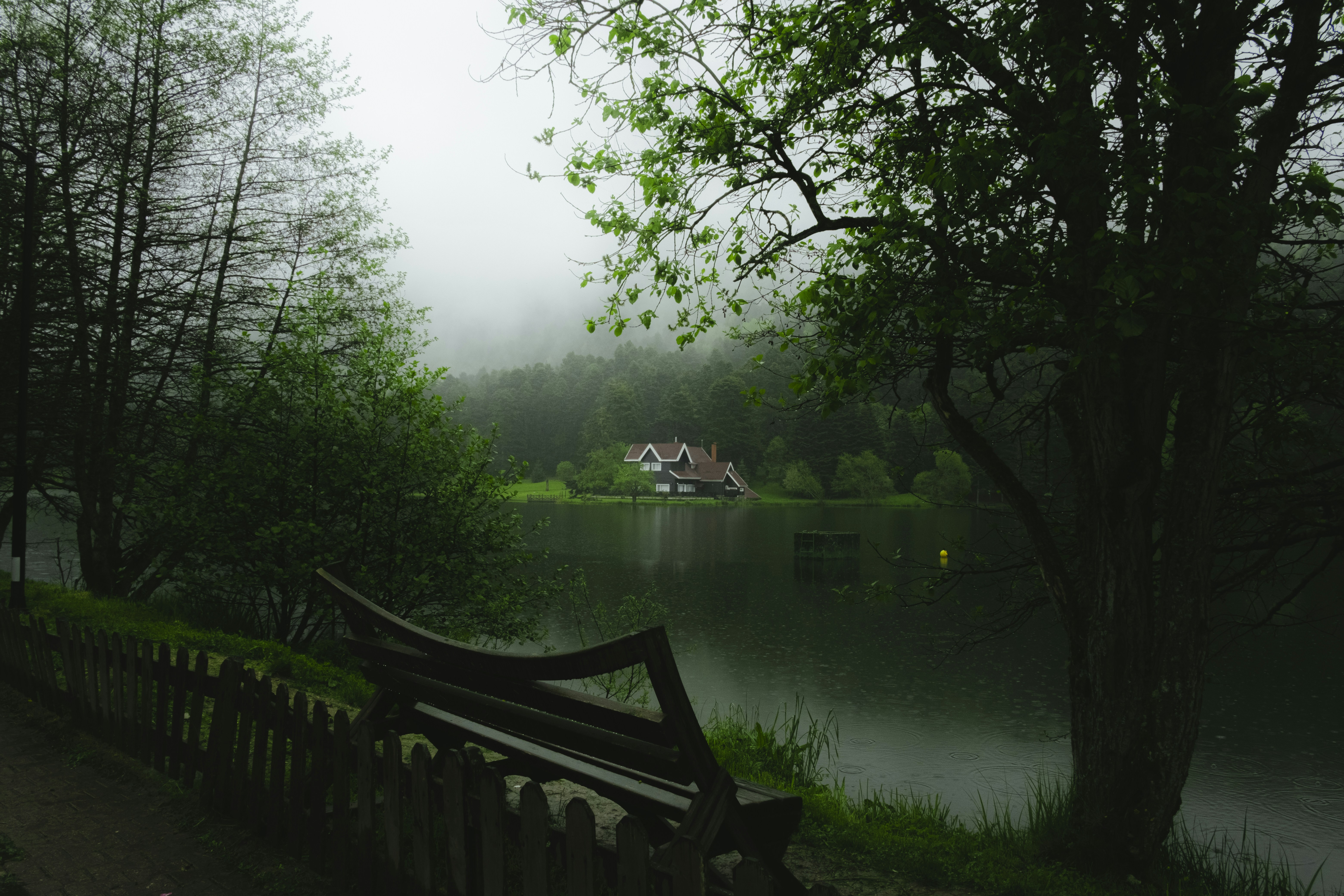 Fog-Wrapped Cottage Across a Quiet Lake