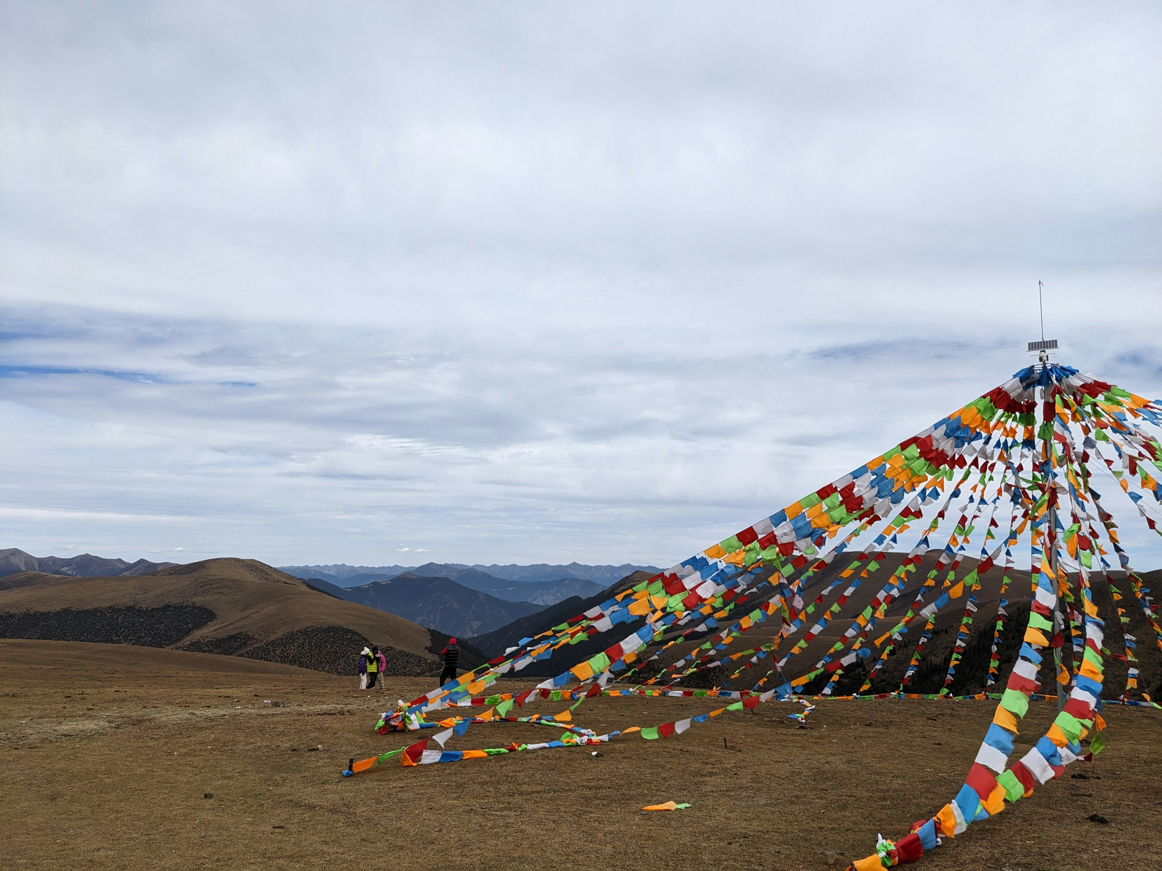 Photo by Yang Pu with Google Pixel 5