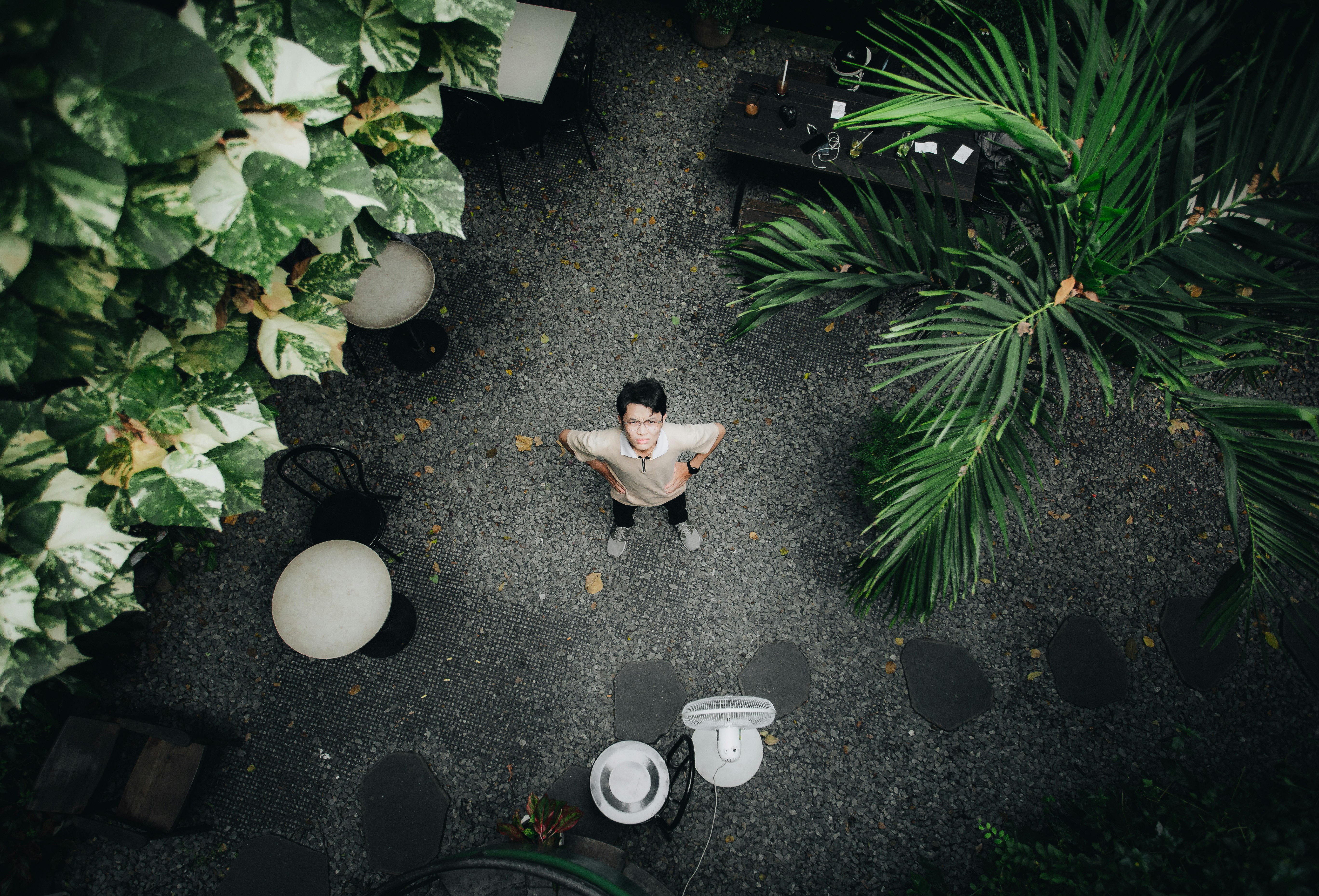 Overhead Portrait in a Tropical Courtyard