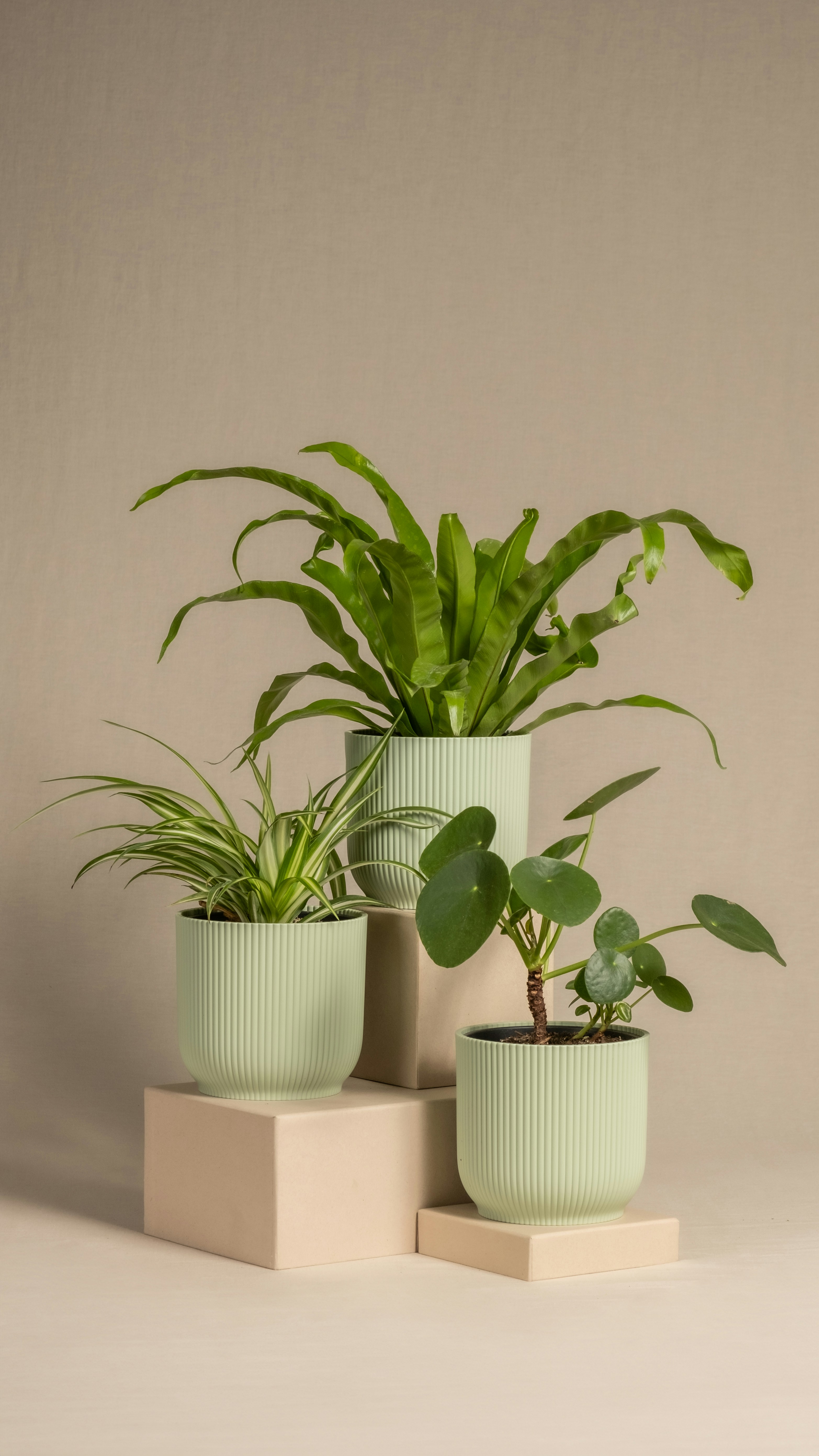 A group of three planters sitting on top of each other photo – Free ...