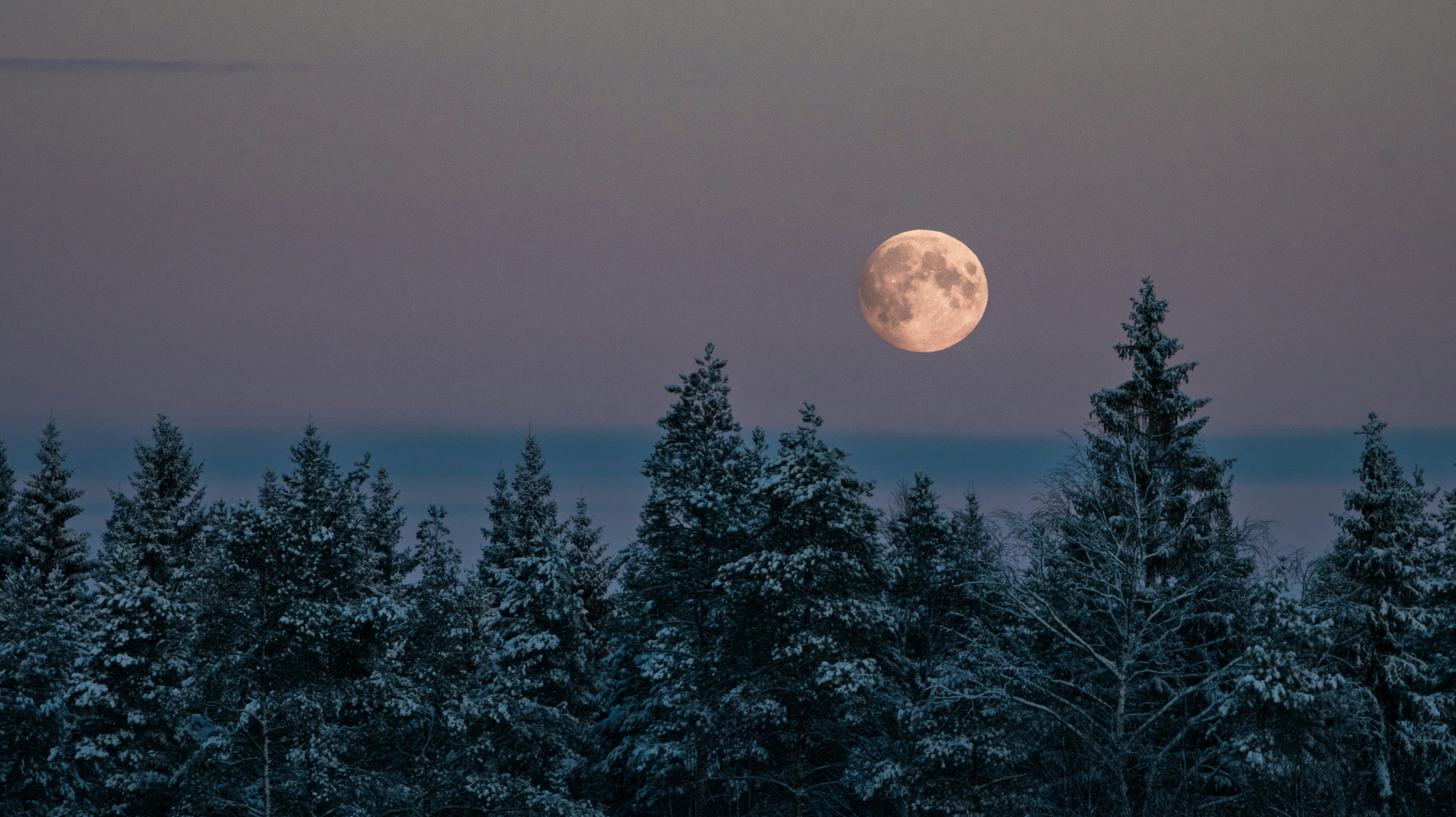 A full moon rising over a forest of trees photo – Free Finland Image on ...