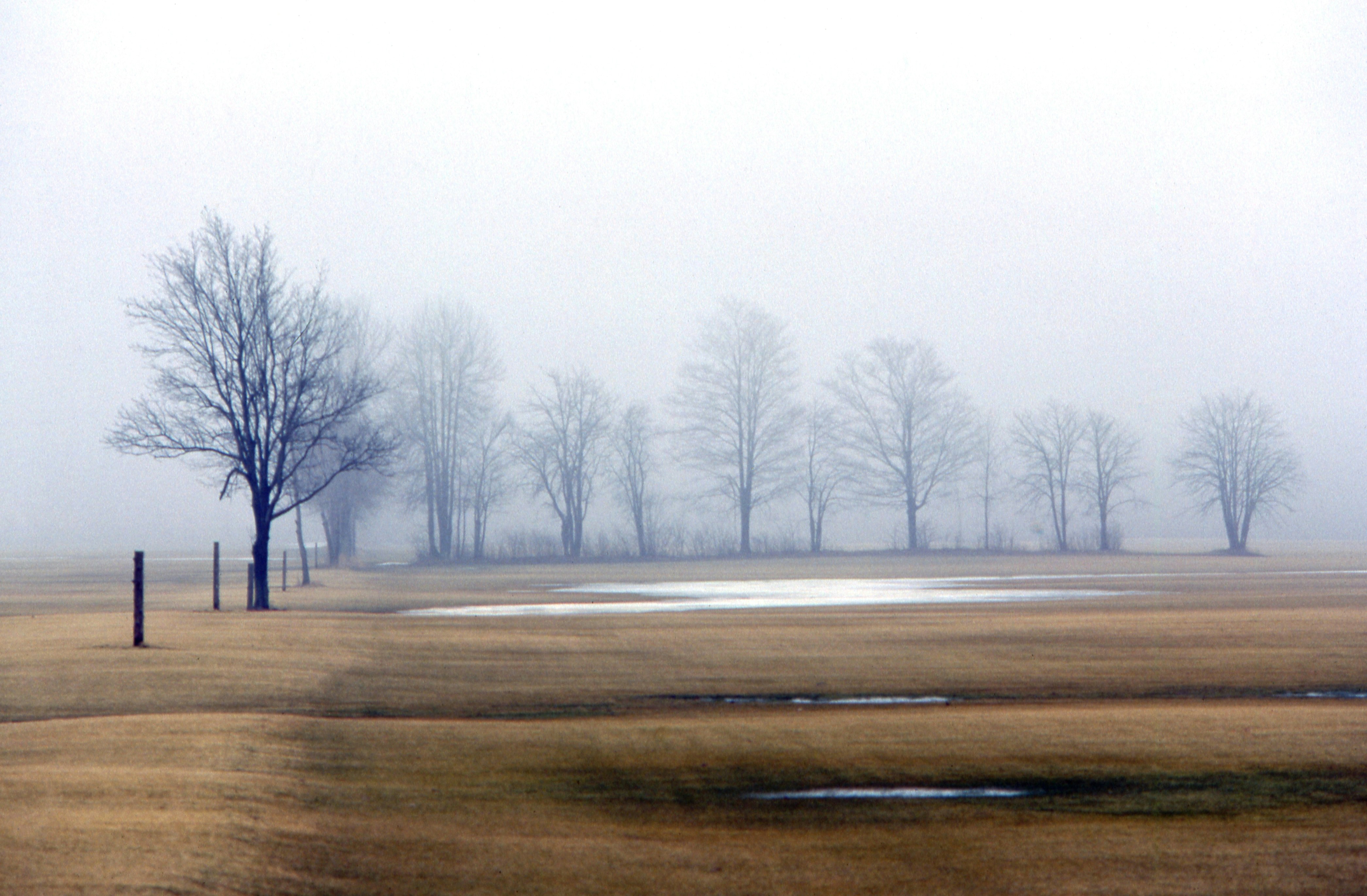 Embers ~ Fall 2023 - by Justin Deming - Along the Hudson