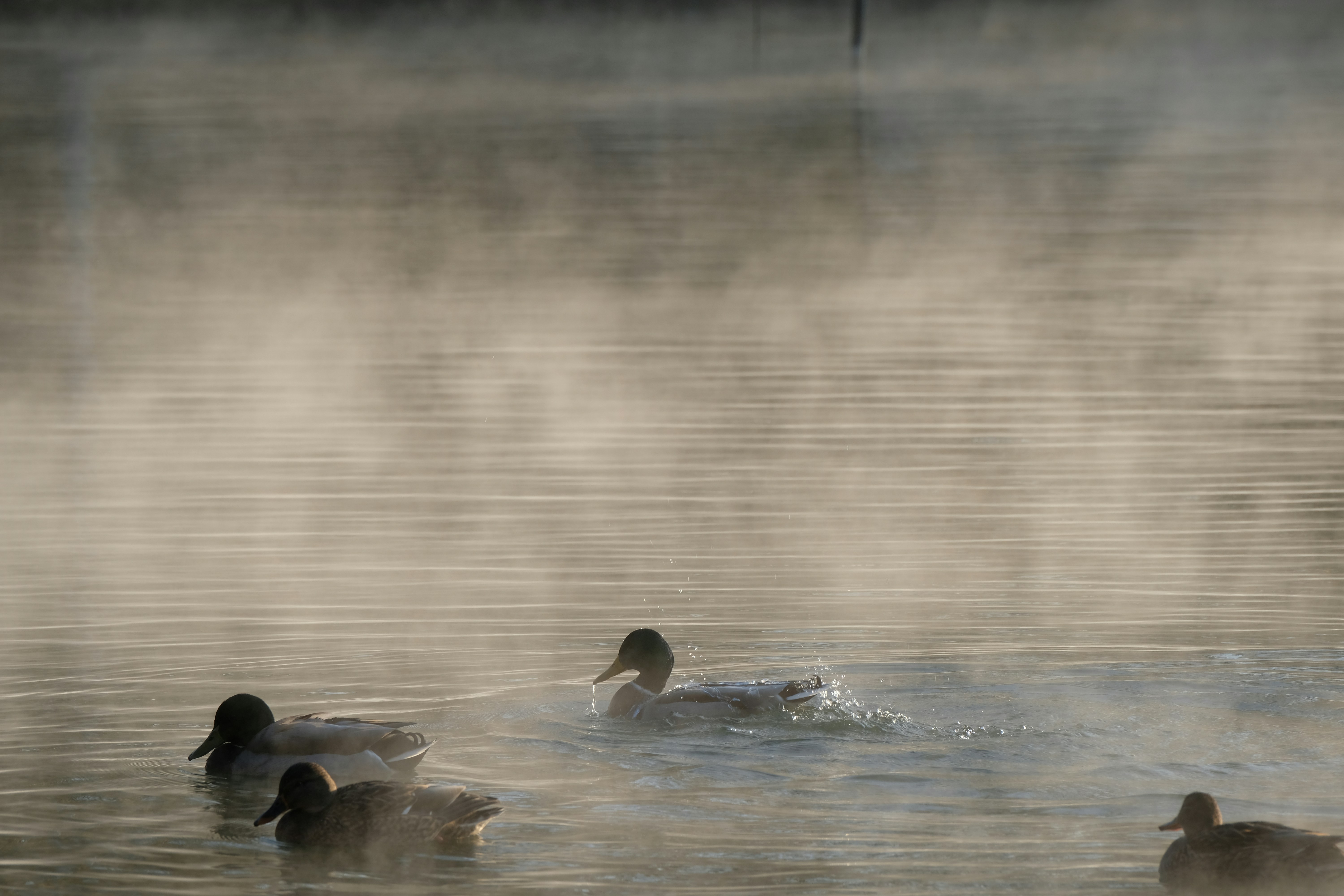 Photo by Simone Dinoia with Fujifilm X-T20