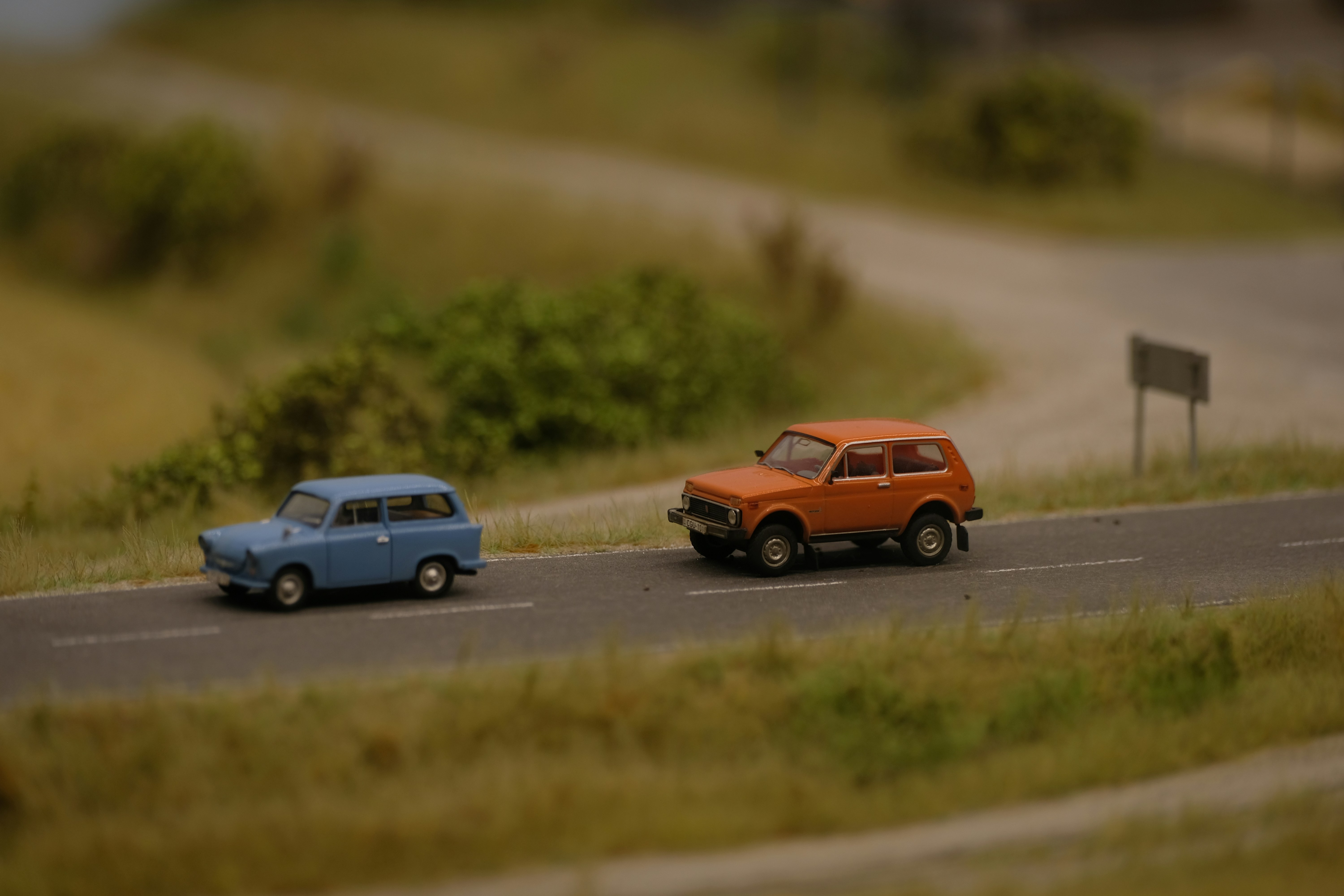 Tiny Road Rivalry on a Sunlit Country Lane
