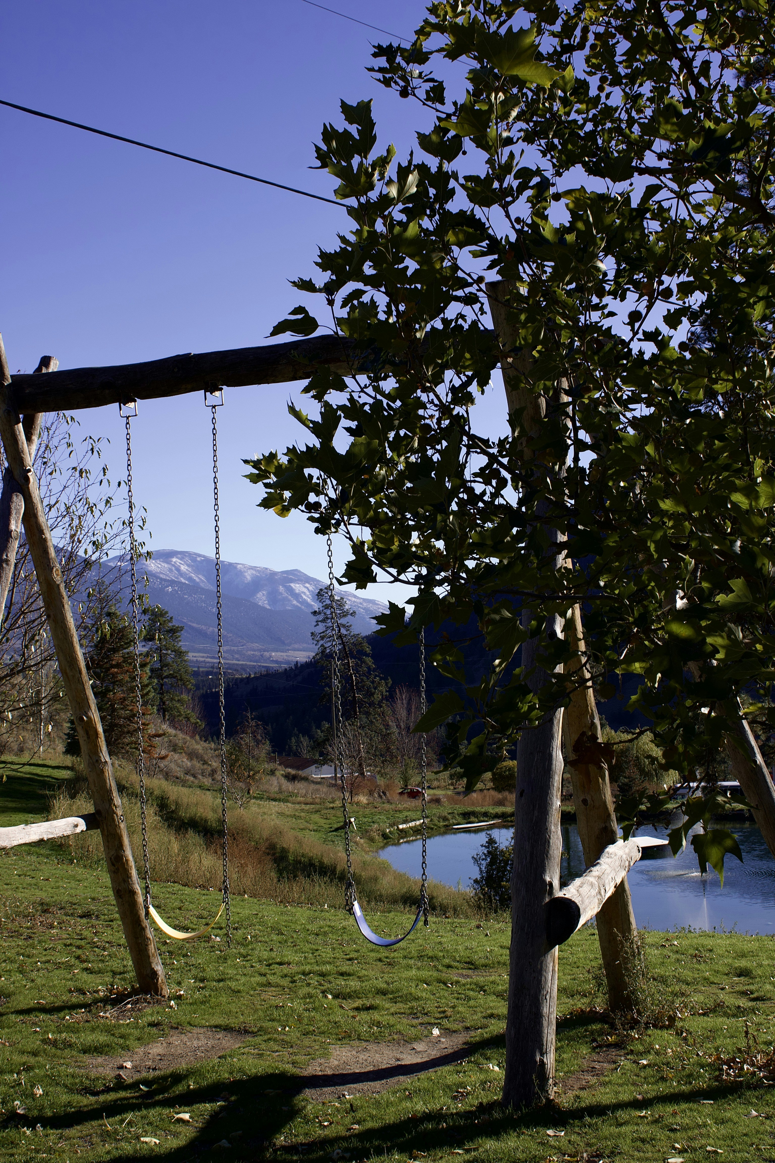 Quiet Park Swing Framed by Leaves with Alpine Backdrop