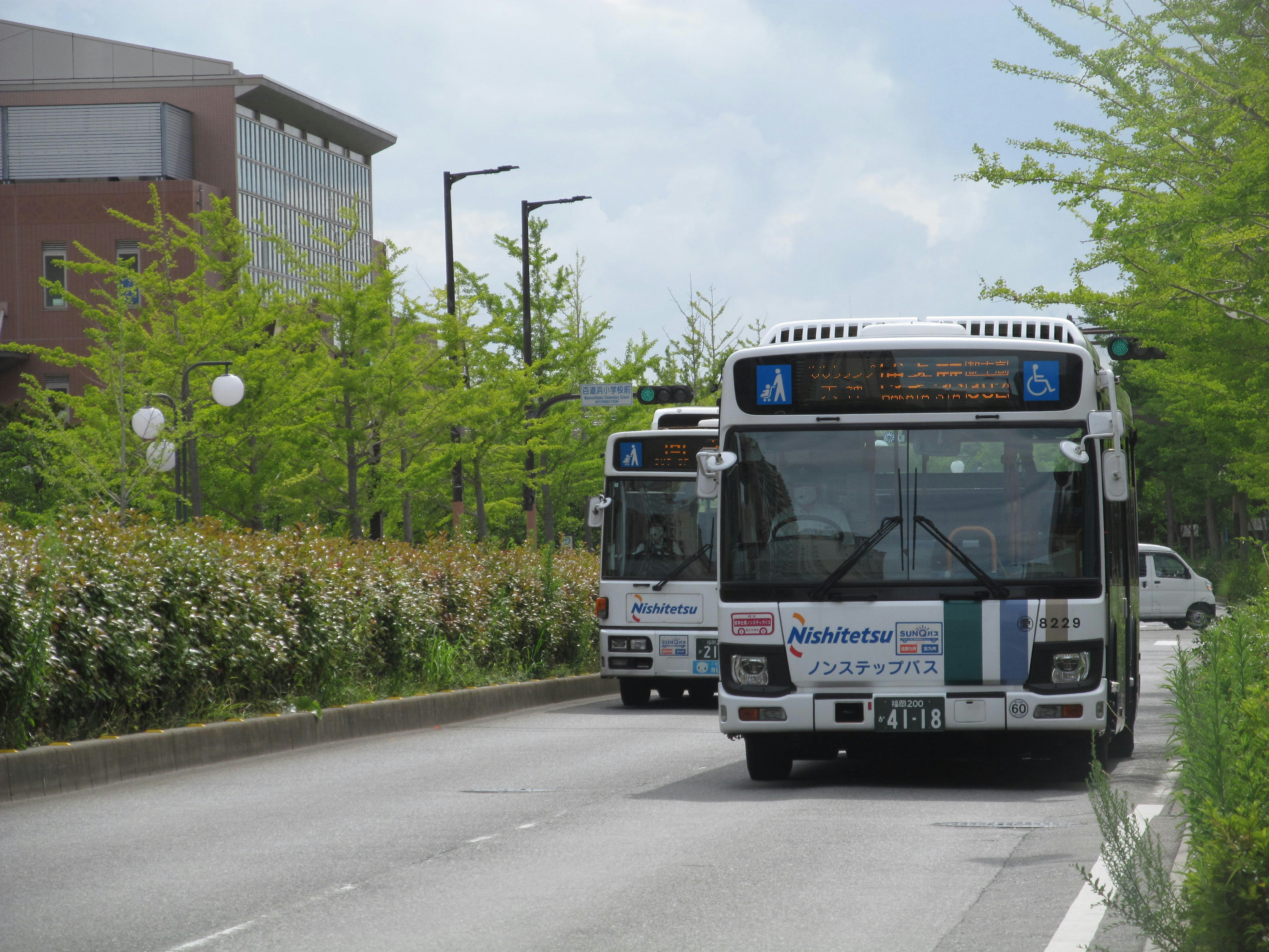 Un bus blanc roulant dans une rue à côté d’herbes hautes photo – Photo ...