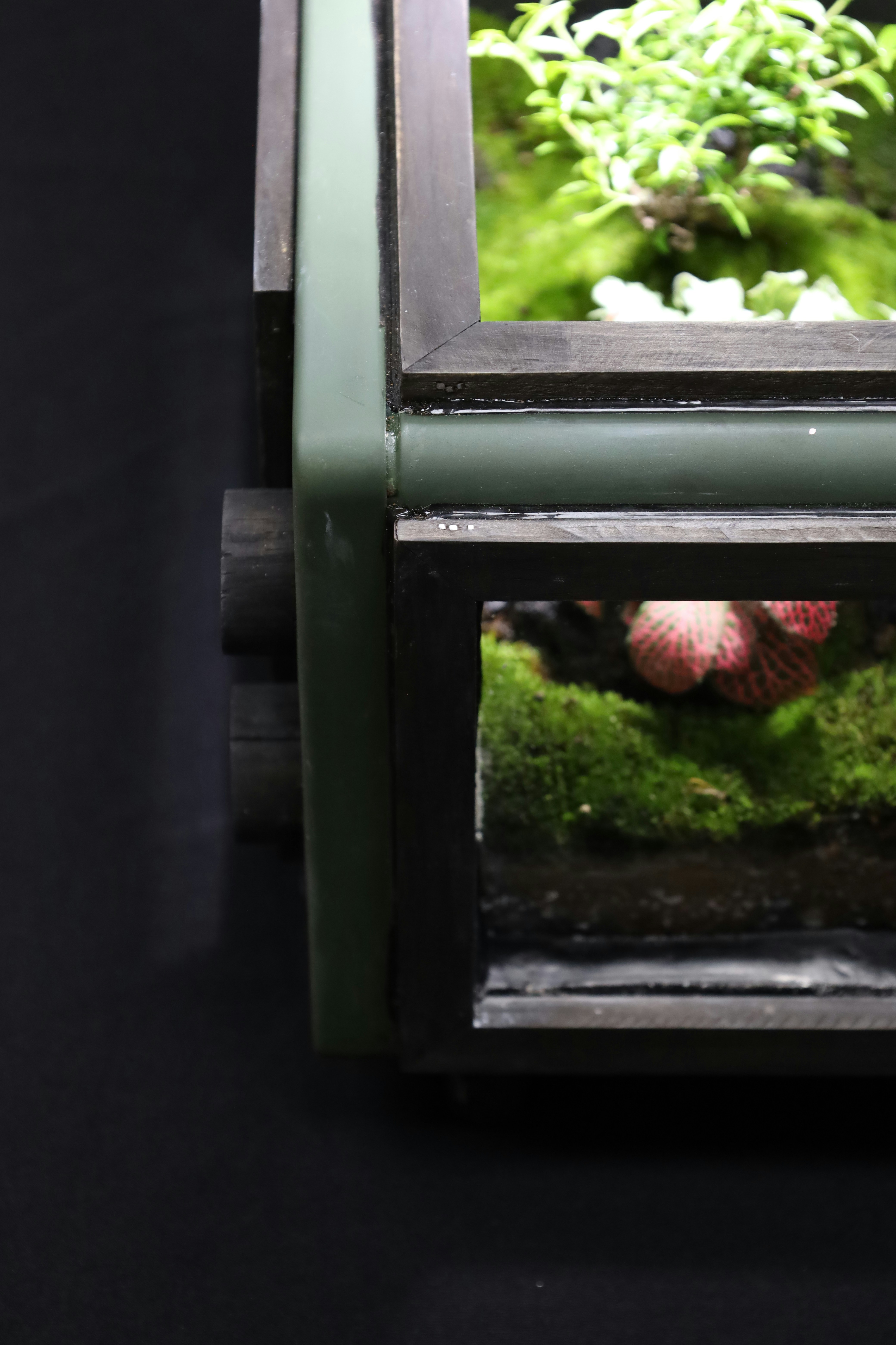 Glass-Box Terrarium: Moss and Greenery Framed in Steel