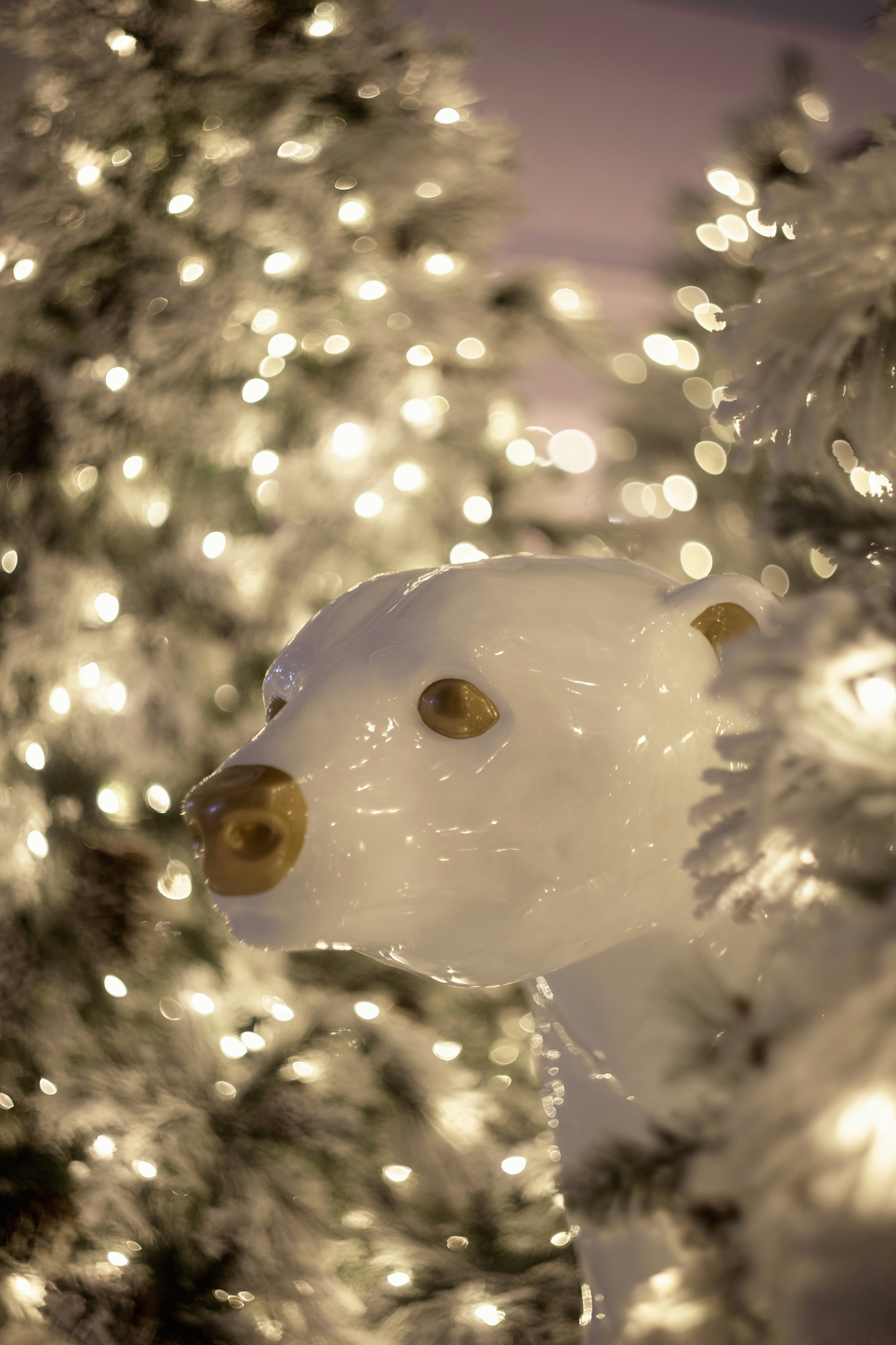 Polar Bear Under a Sea of Fairy Lights