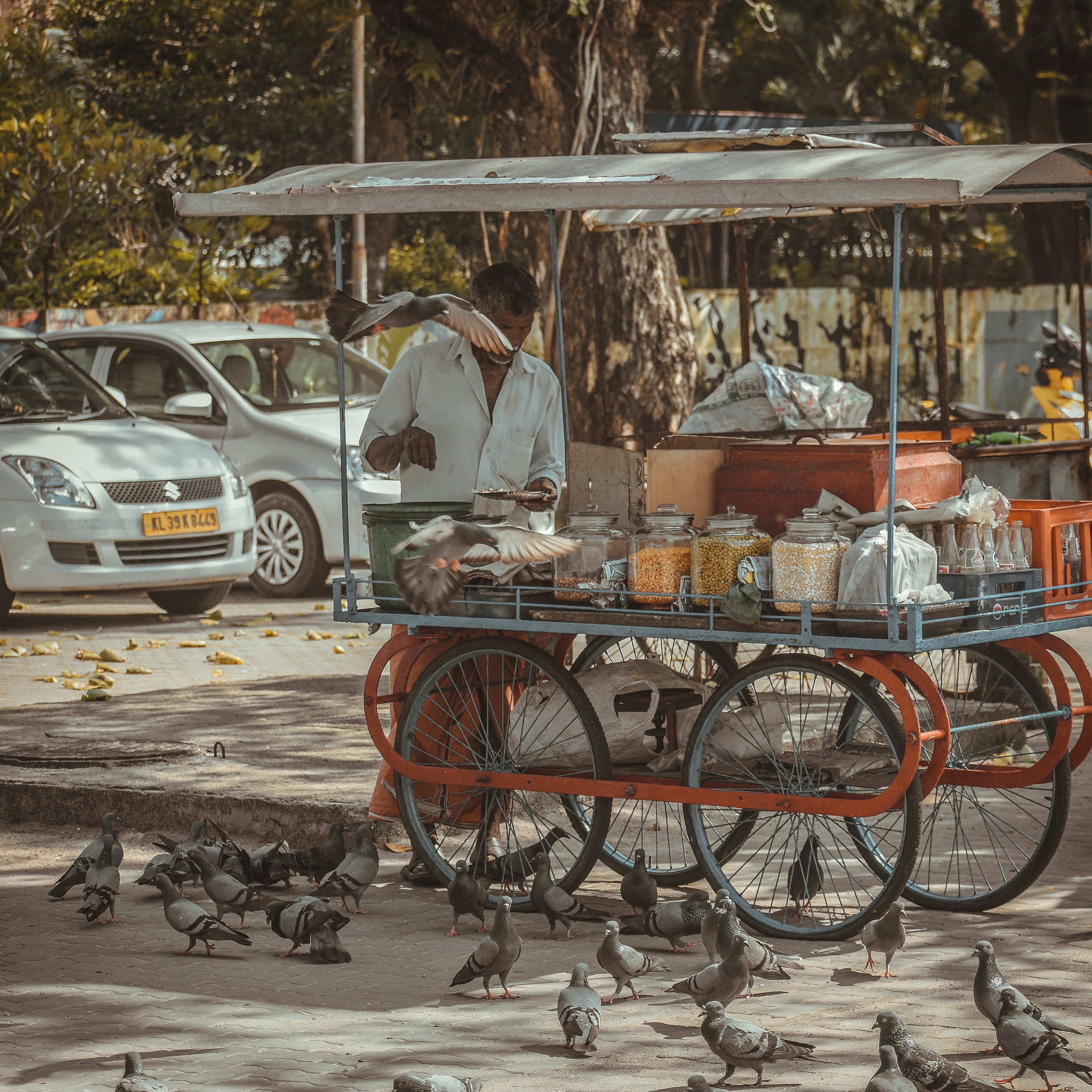 Midday Cart of Jars and Pigeons: A Quiet Street Vendor Moment