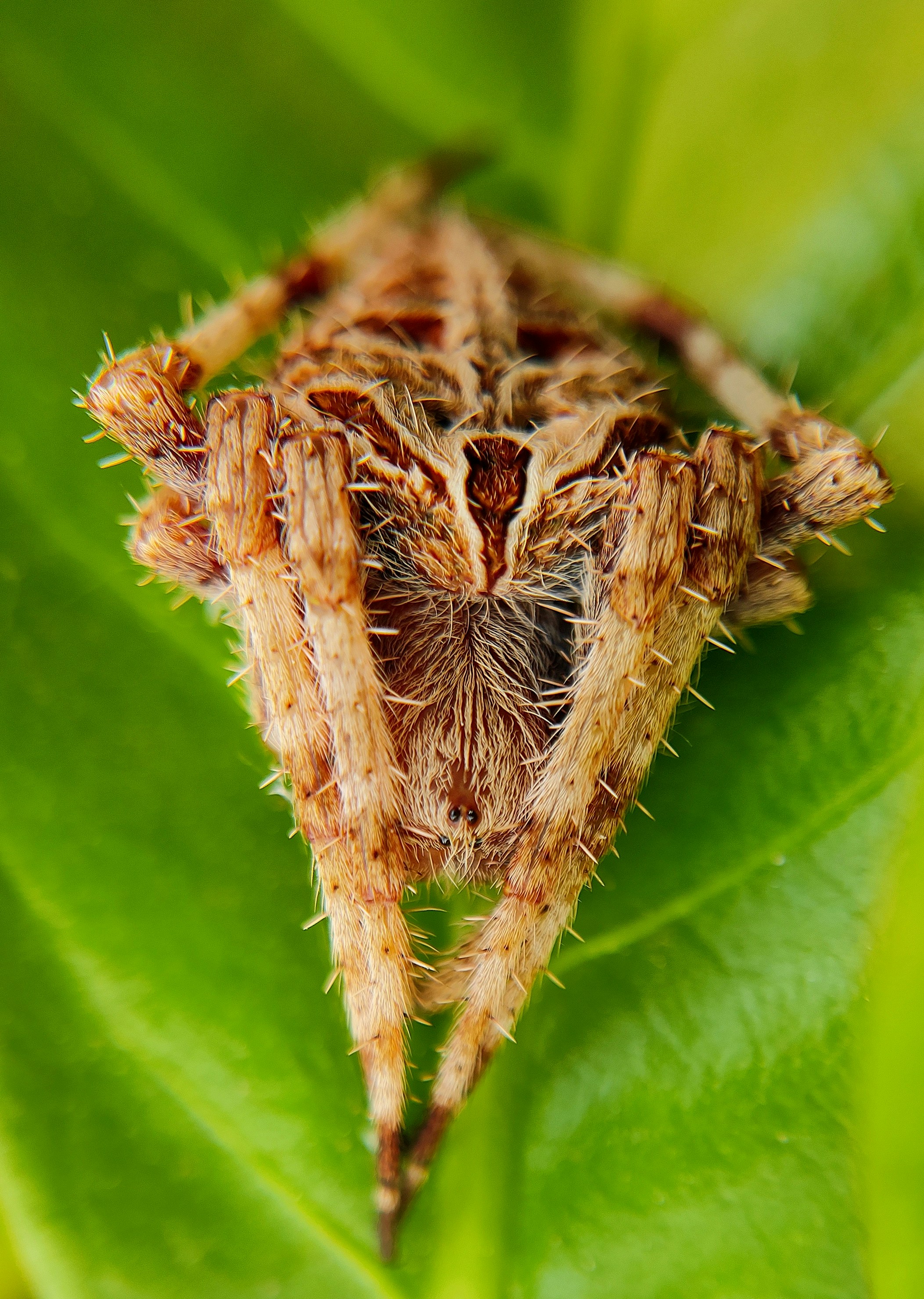 Photo by Shyamli Kashyap with Redmi Note 10 Pro