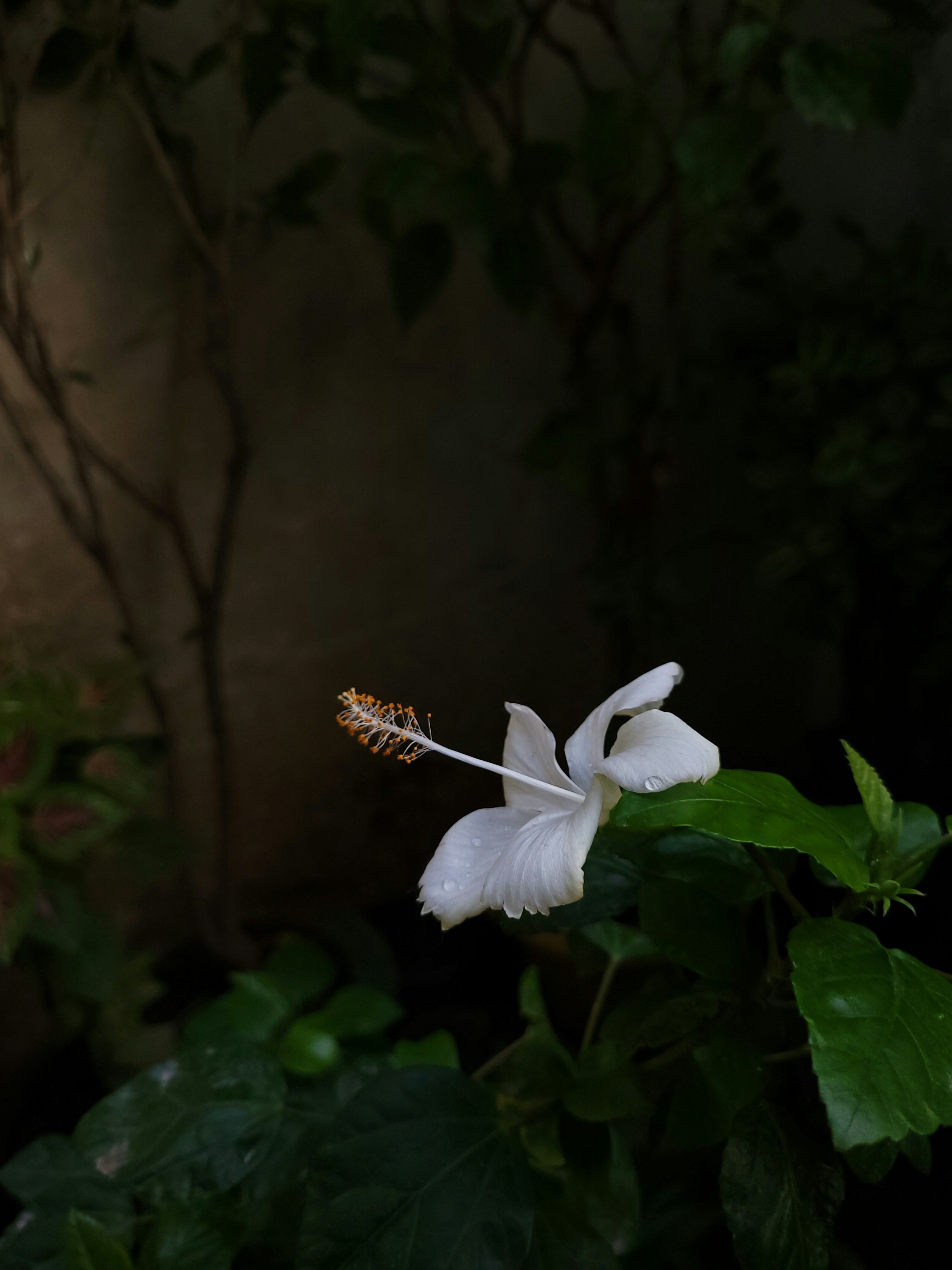 Photo by Junaid Khan with Samsung Galaxy S20 FE 5G