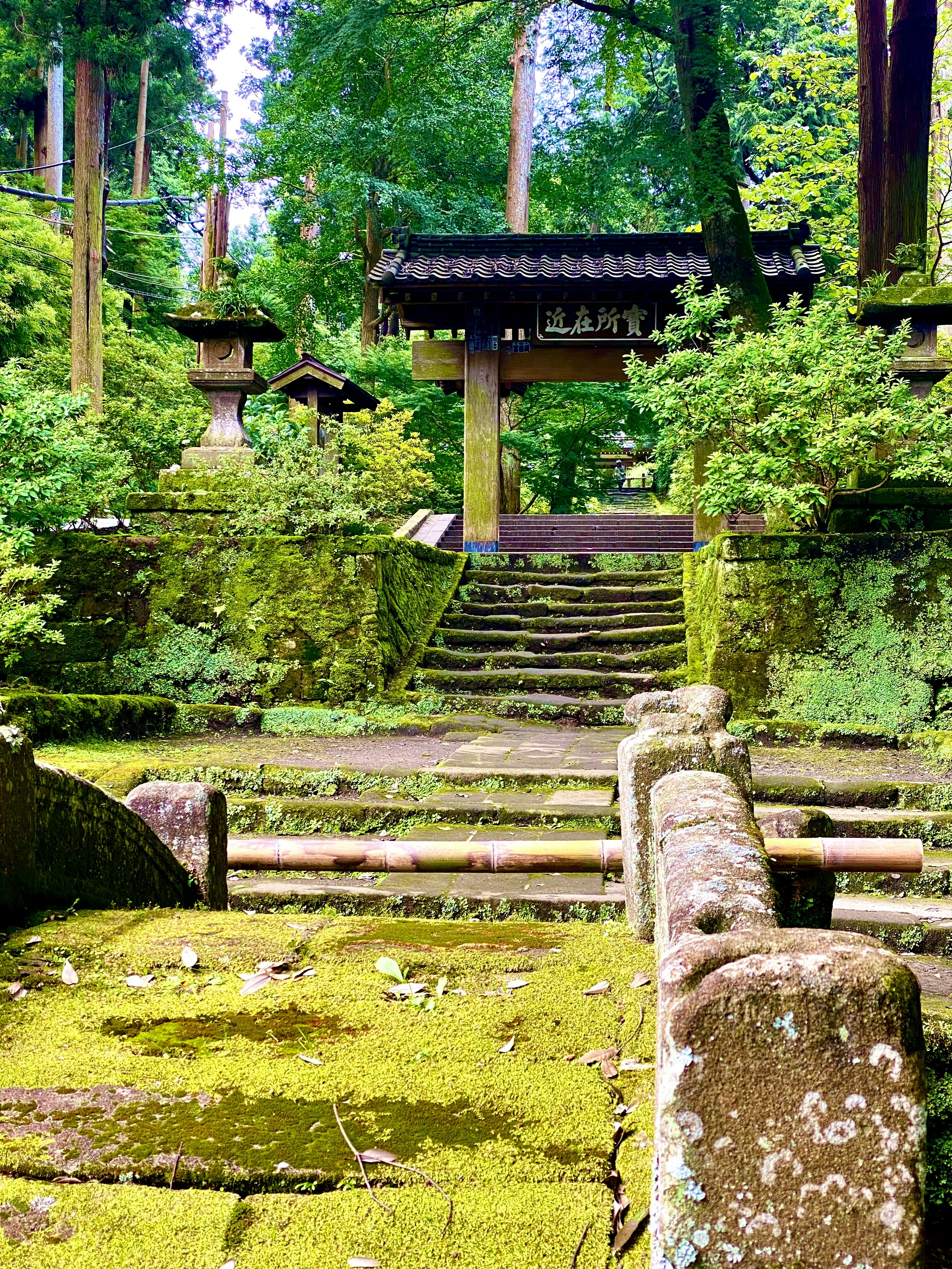 Dominic Paetsch (@dpaetsch) | Komunitas Foto Unsplash