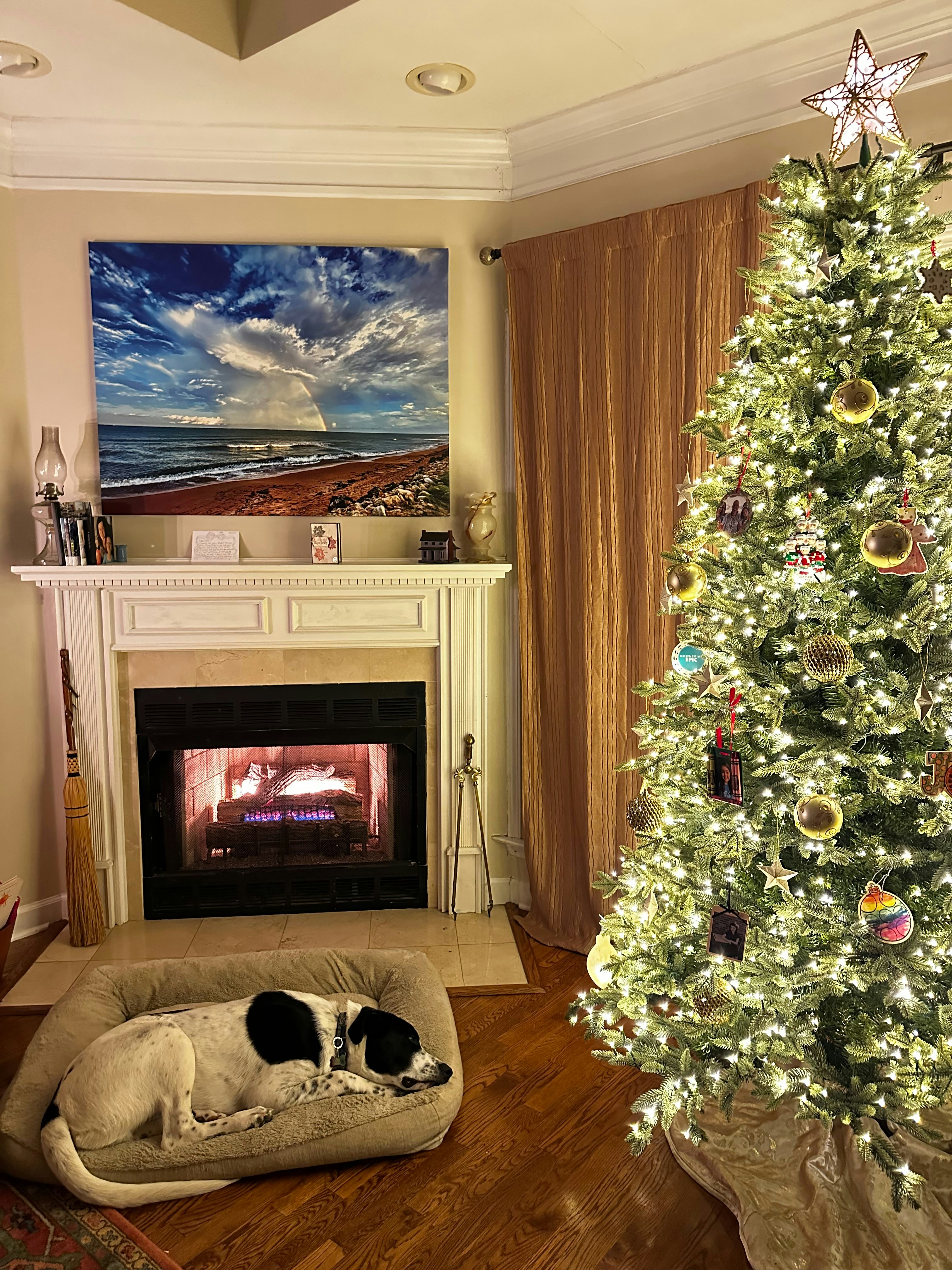 Luminous Christmas Tree Framed by a Hearthside Evening