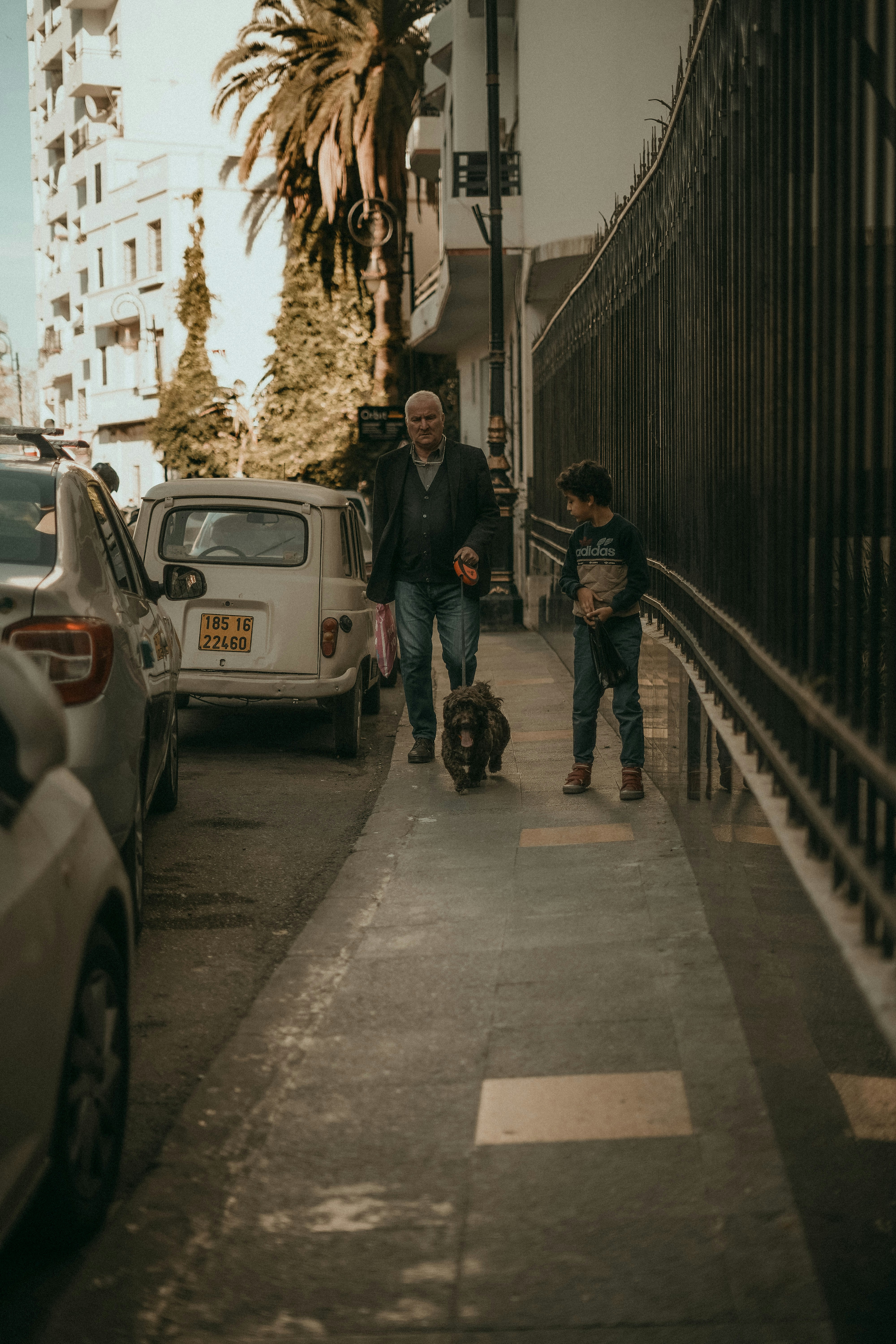 Sunlit Sidewalk Moment: A Man, a Boy, and a Small Dog on a Quiet City Walk