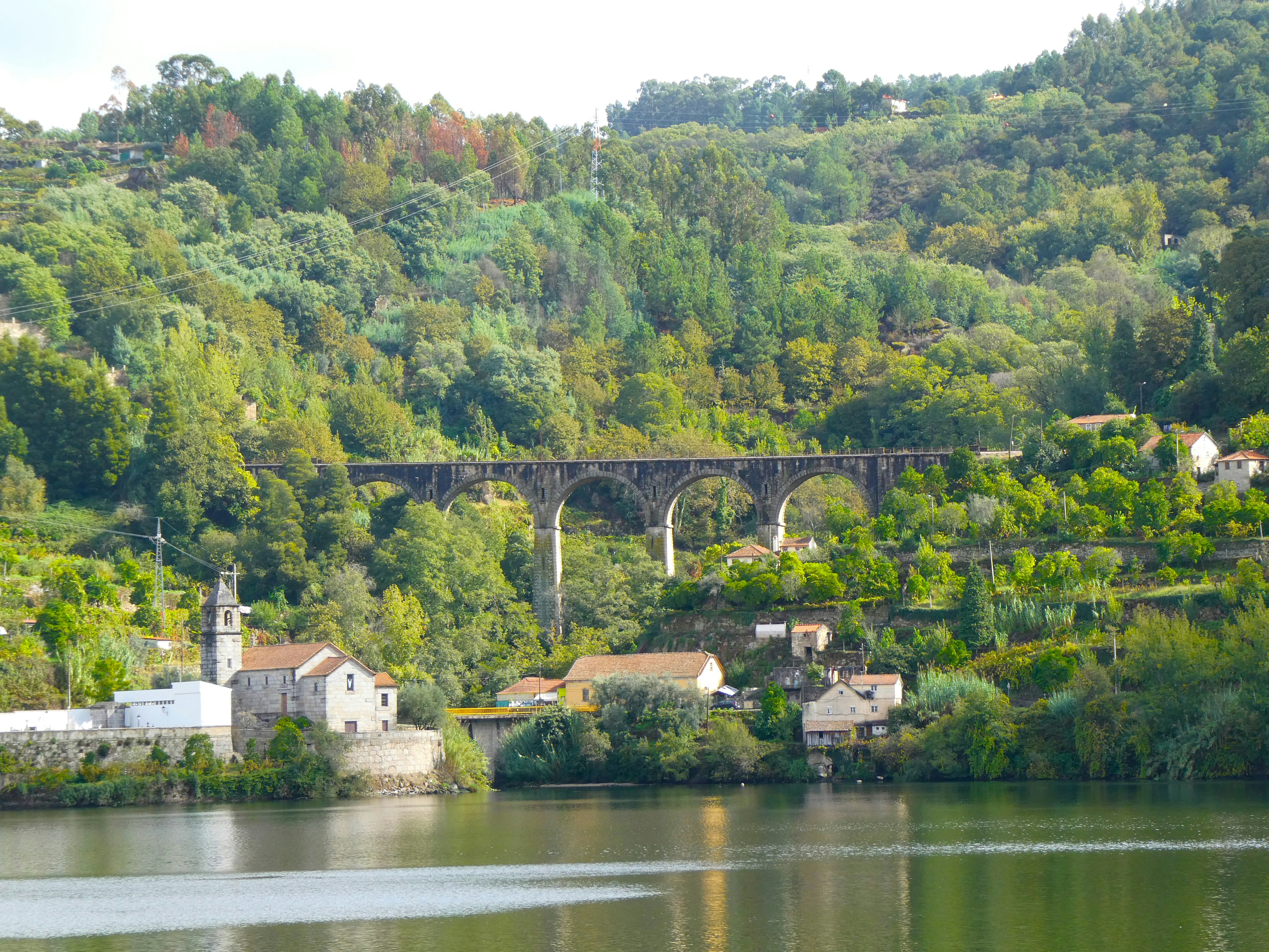 Small village at Douro River's edge with masonry bridge and a hillside of trees.