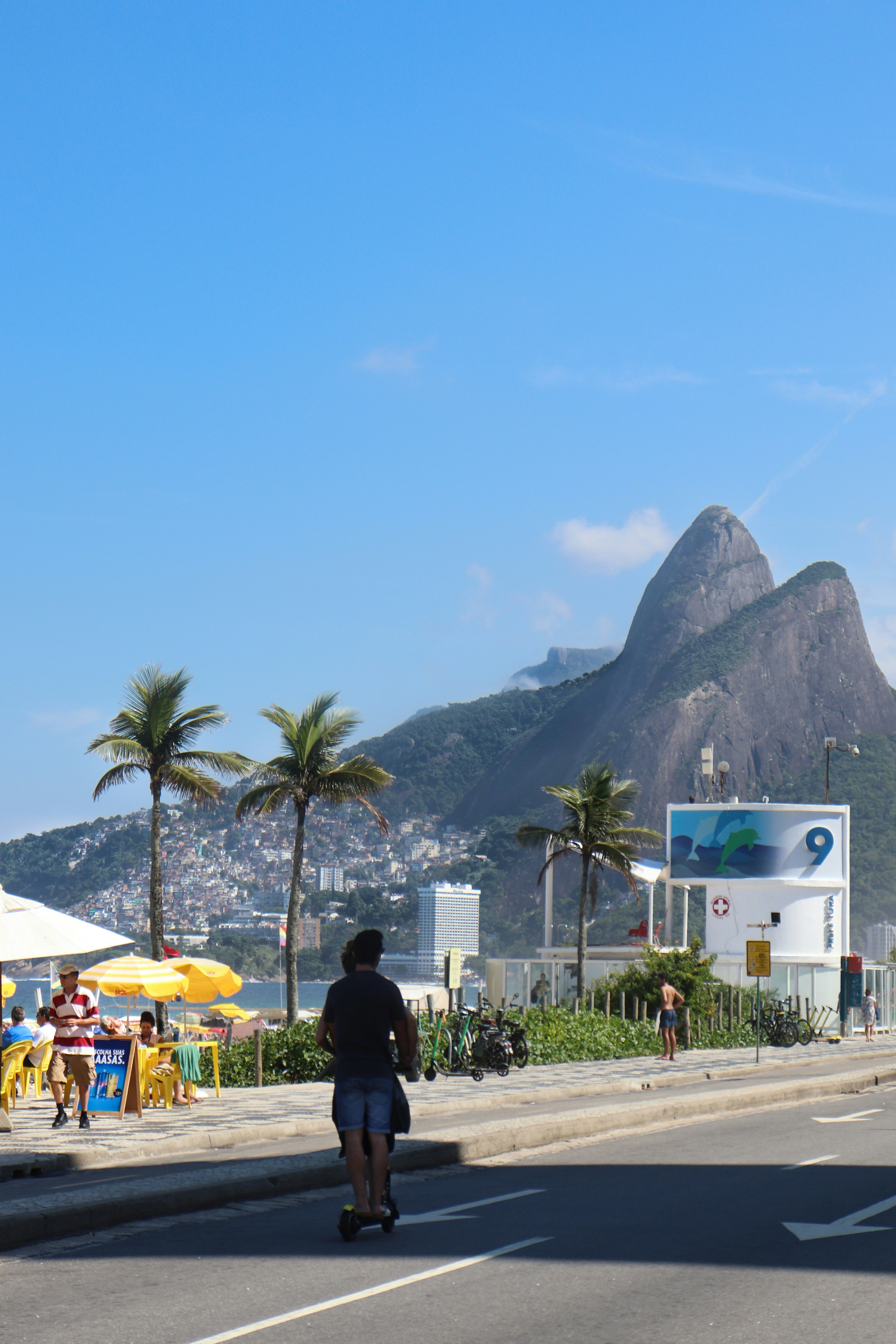Palm-lined promenade toward Sugarloaf with a lone rider and distant peak