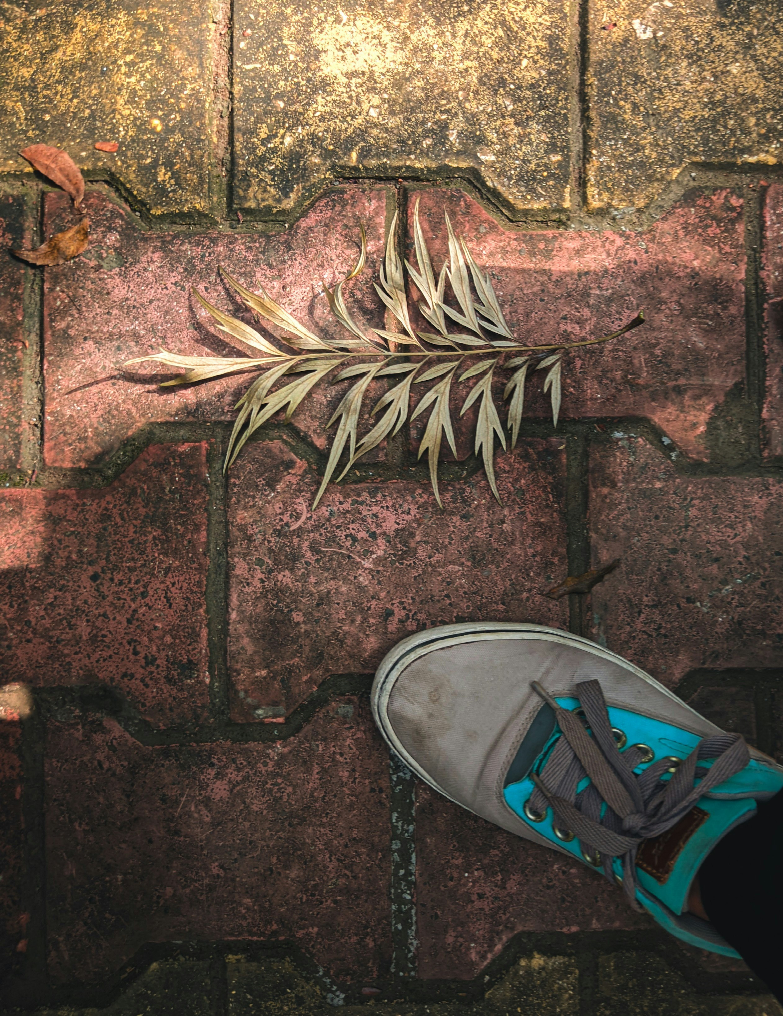 Autumn leaf rests on brick pavement beside a sneaker, captured in moody, sunlit tones. The scene emphasizes texture of the ground and a casual footstep, with the shoe anchoring the frame. (Logo/illustration not present.)