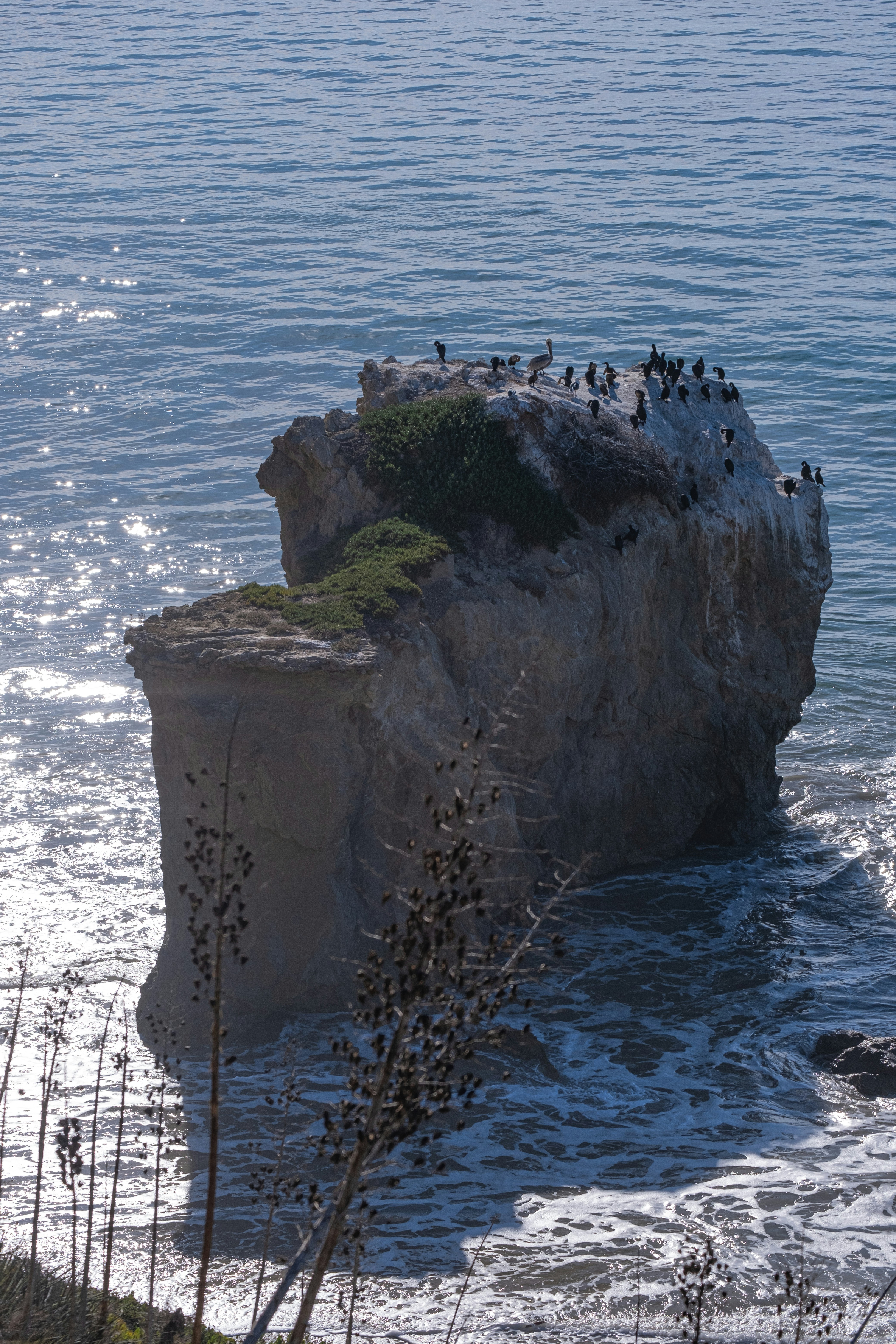 Photo by Sarah Sheedy with Fujifilm X-T3