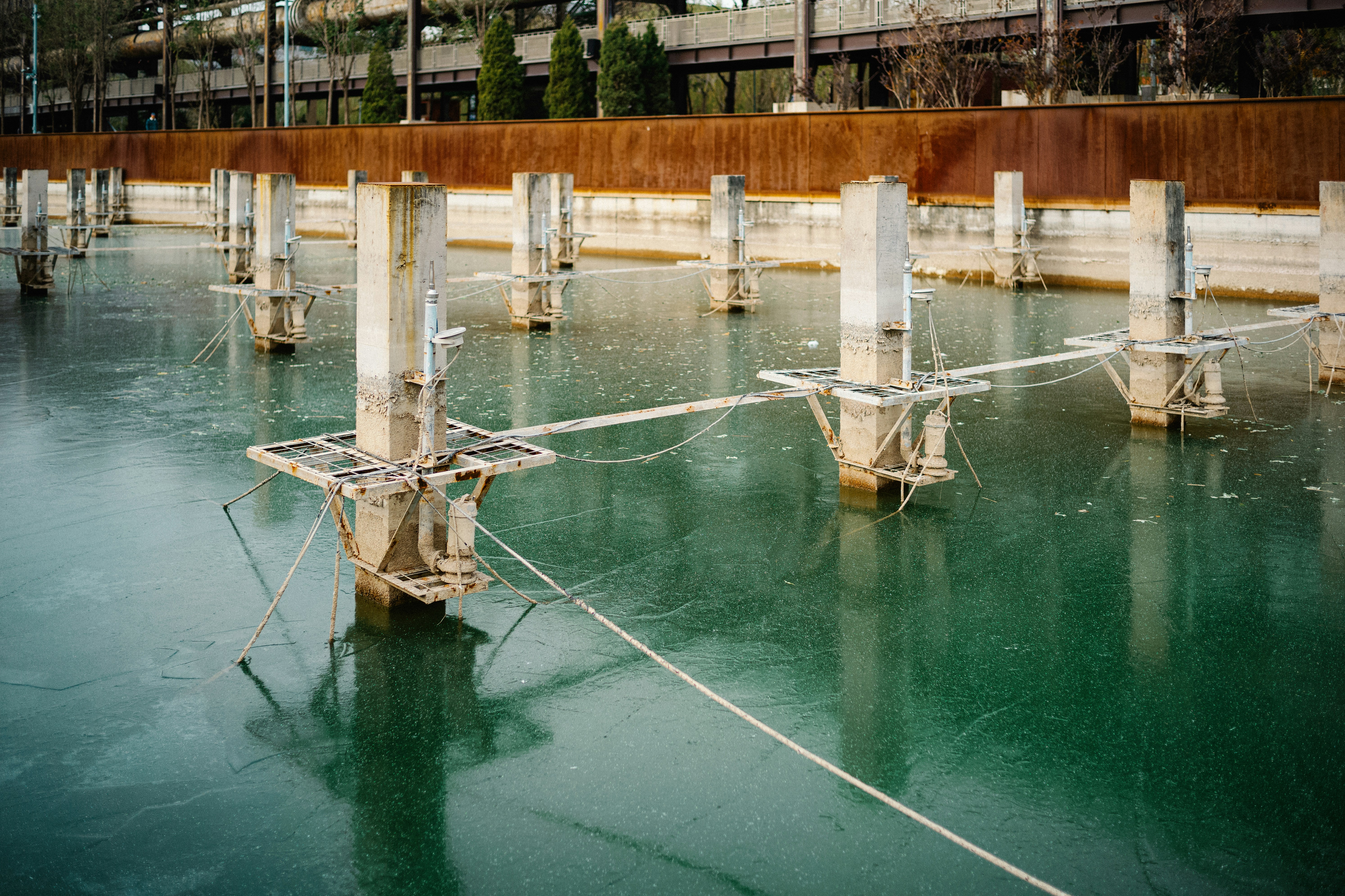A bunch of poles that are in the water photo – Free Water Image on Unsplash