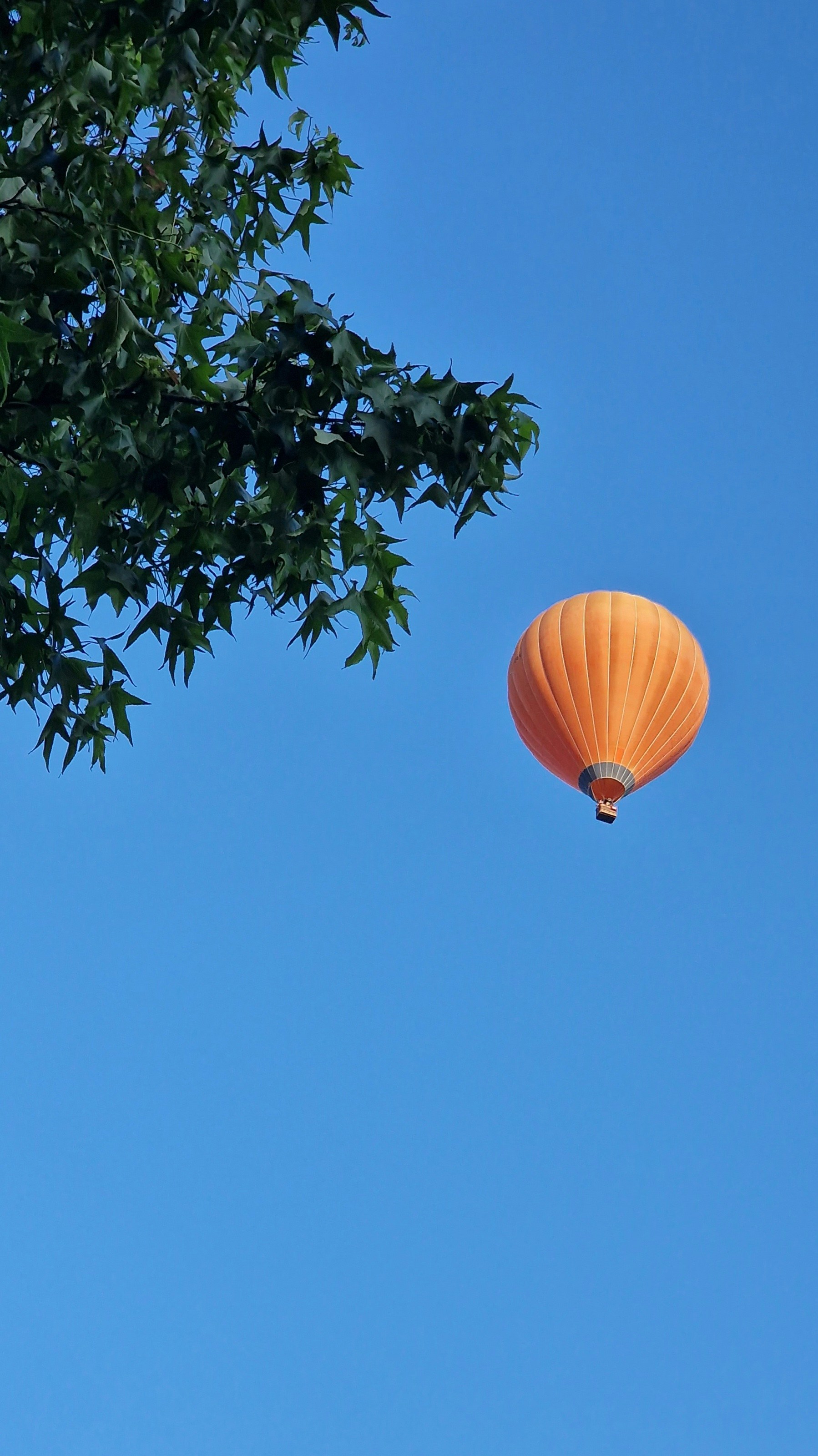 Amber Balloon Drifts Across a Cerulean Expanse