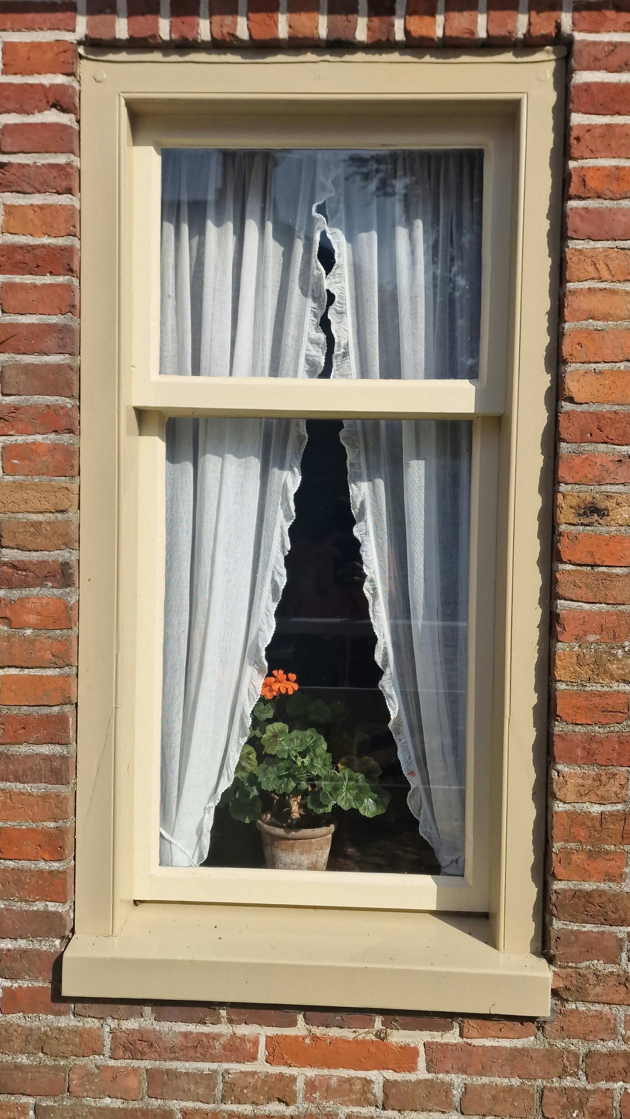 Crack in the Curtain: Brick Window with a Potted Geranium