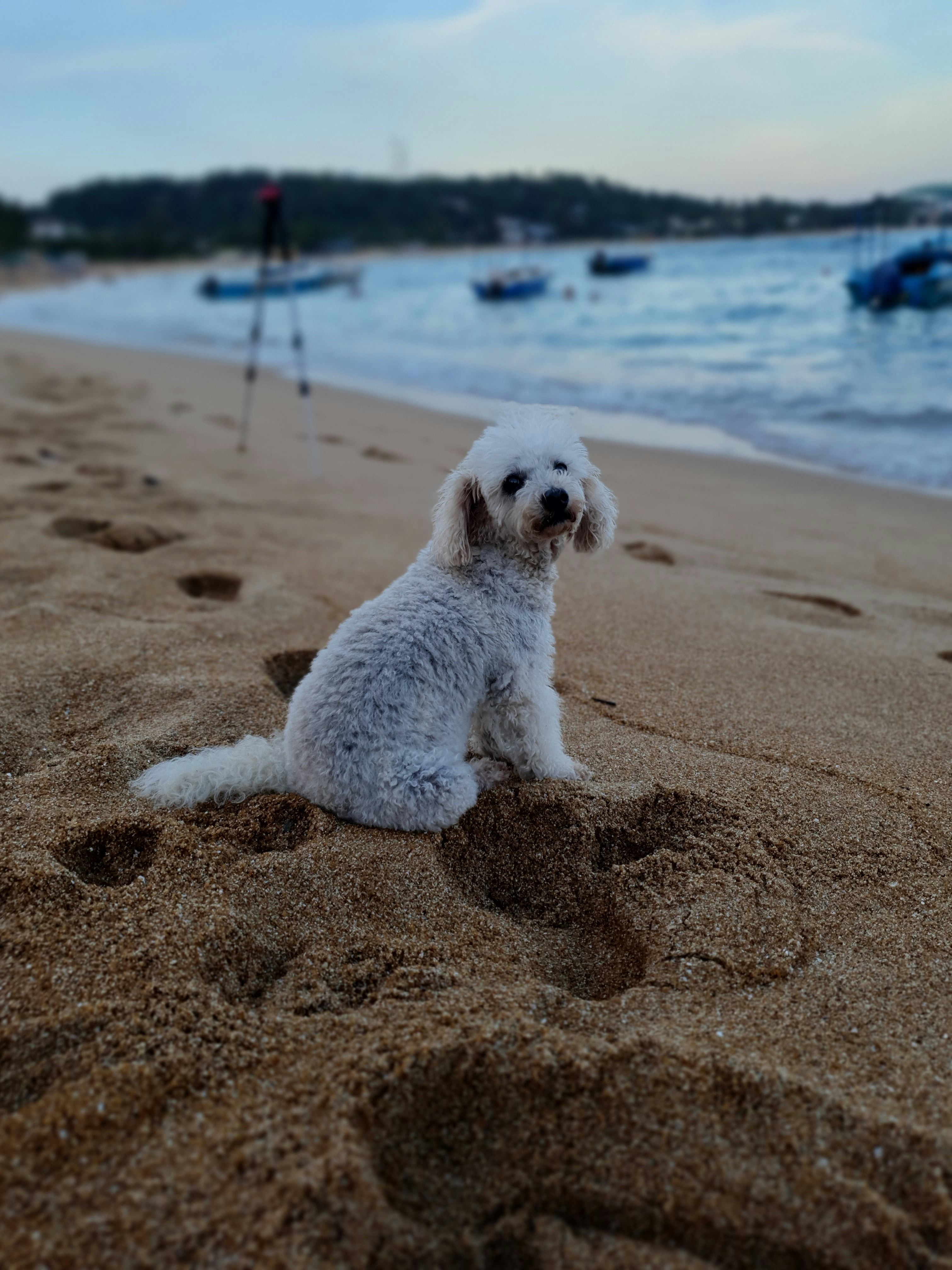 Photo by Avii DD with Samsung Galaxy S10