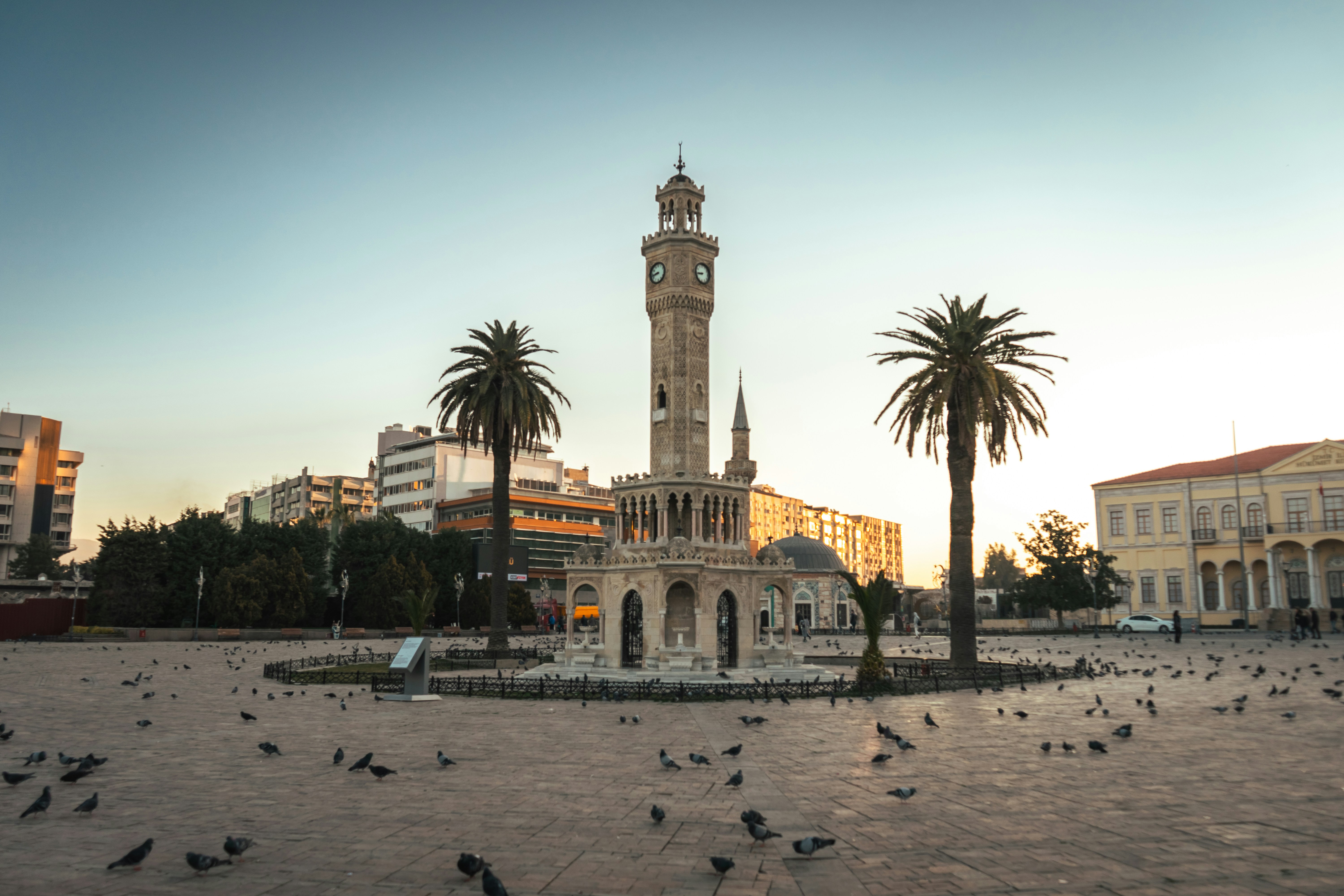 Clock tower surrounded by palm trees and pigeons in a sunlit plaza.