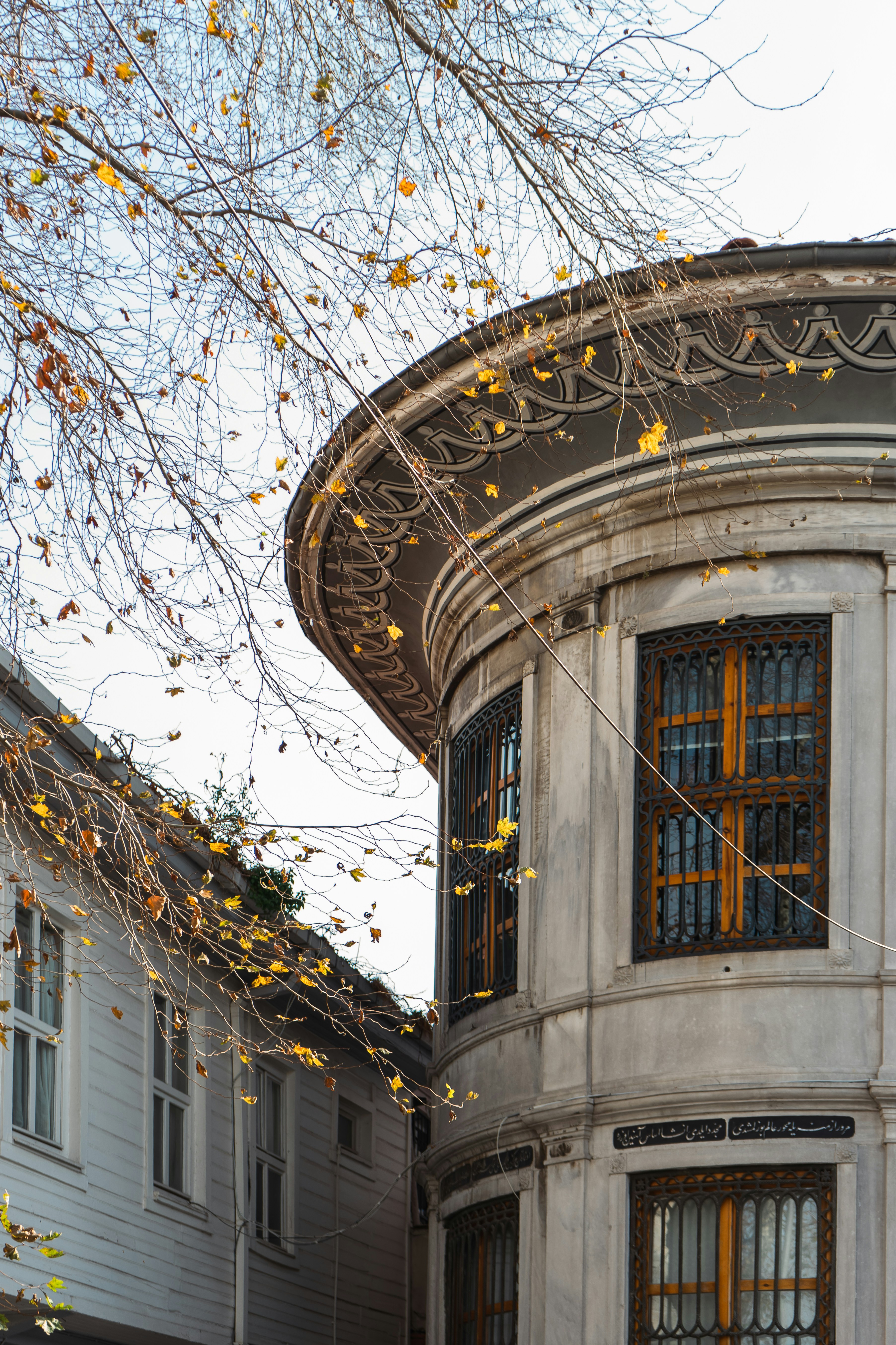 Autumn Veil on a Historic Curved Facade
