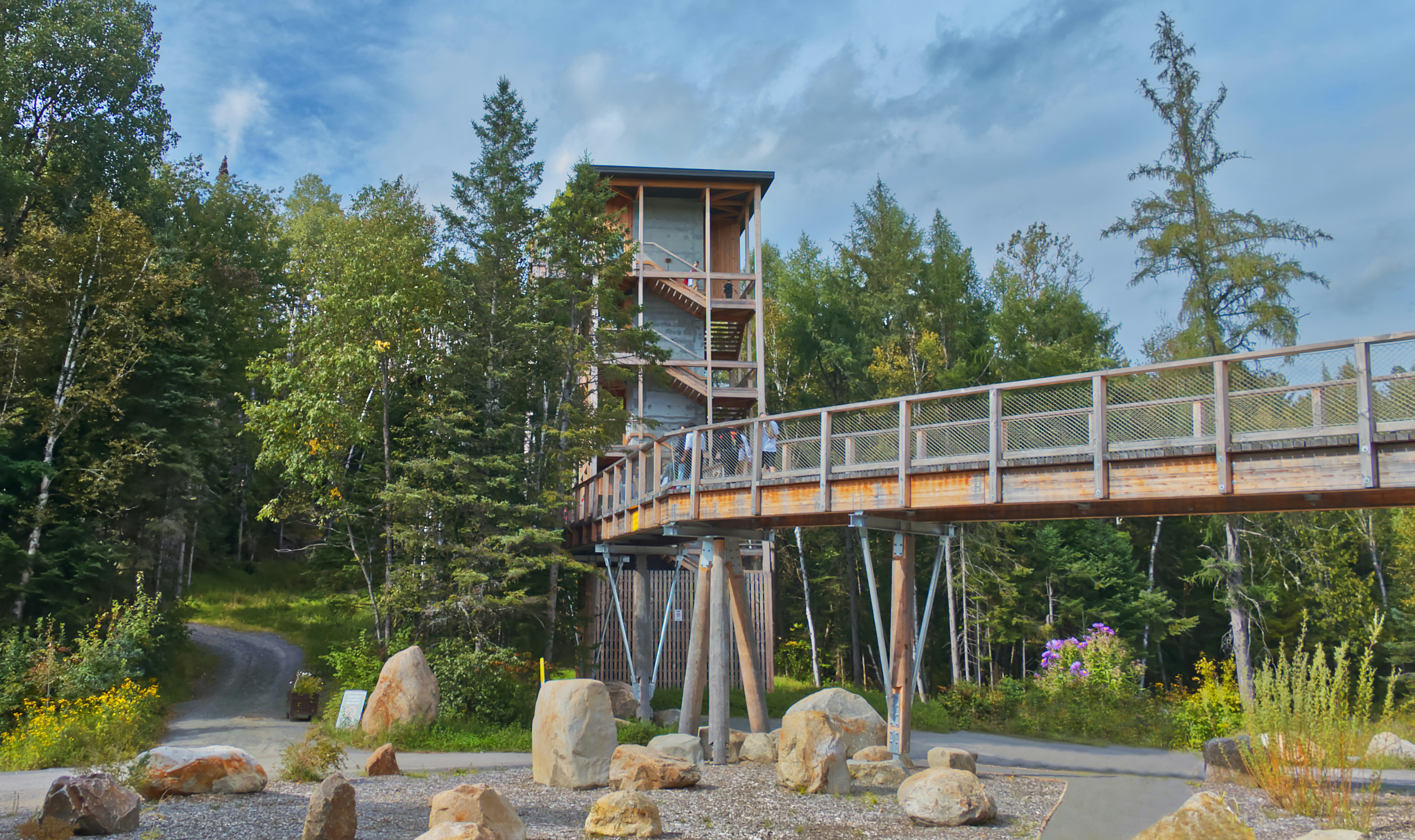 Empruntons la passerelle pour rejoindre la tour de 40 mètres de hauteur du Sentier des Cîmes des Laurentides. | a wooden bridge over a gravel road surrounded by trees