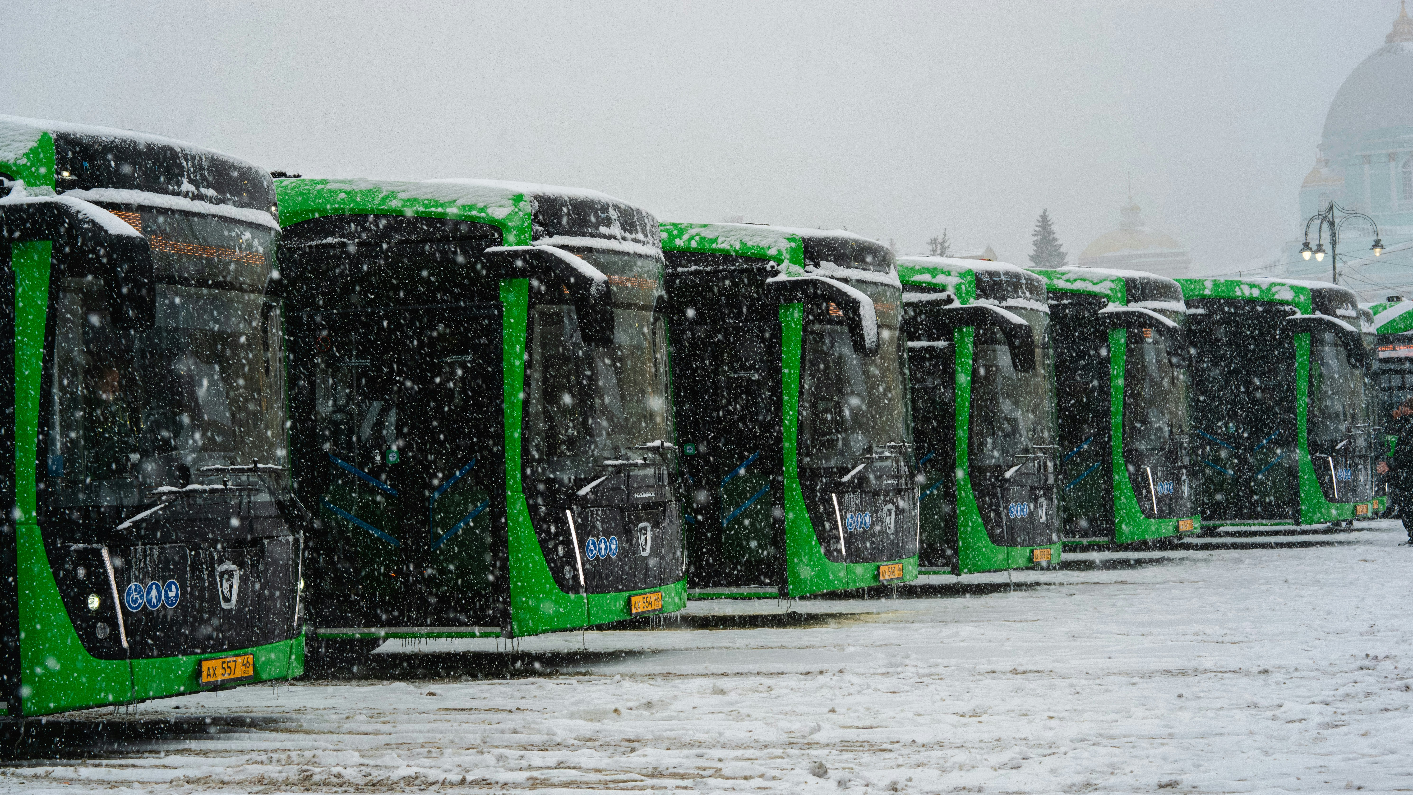 A row of green and black buses covered in snow photo – Free Bus Image ...