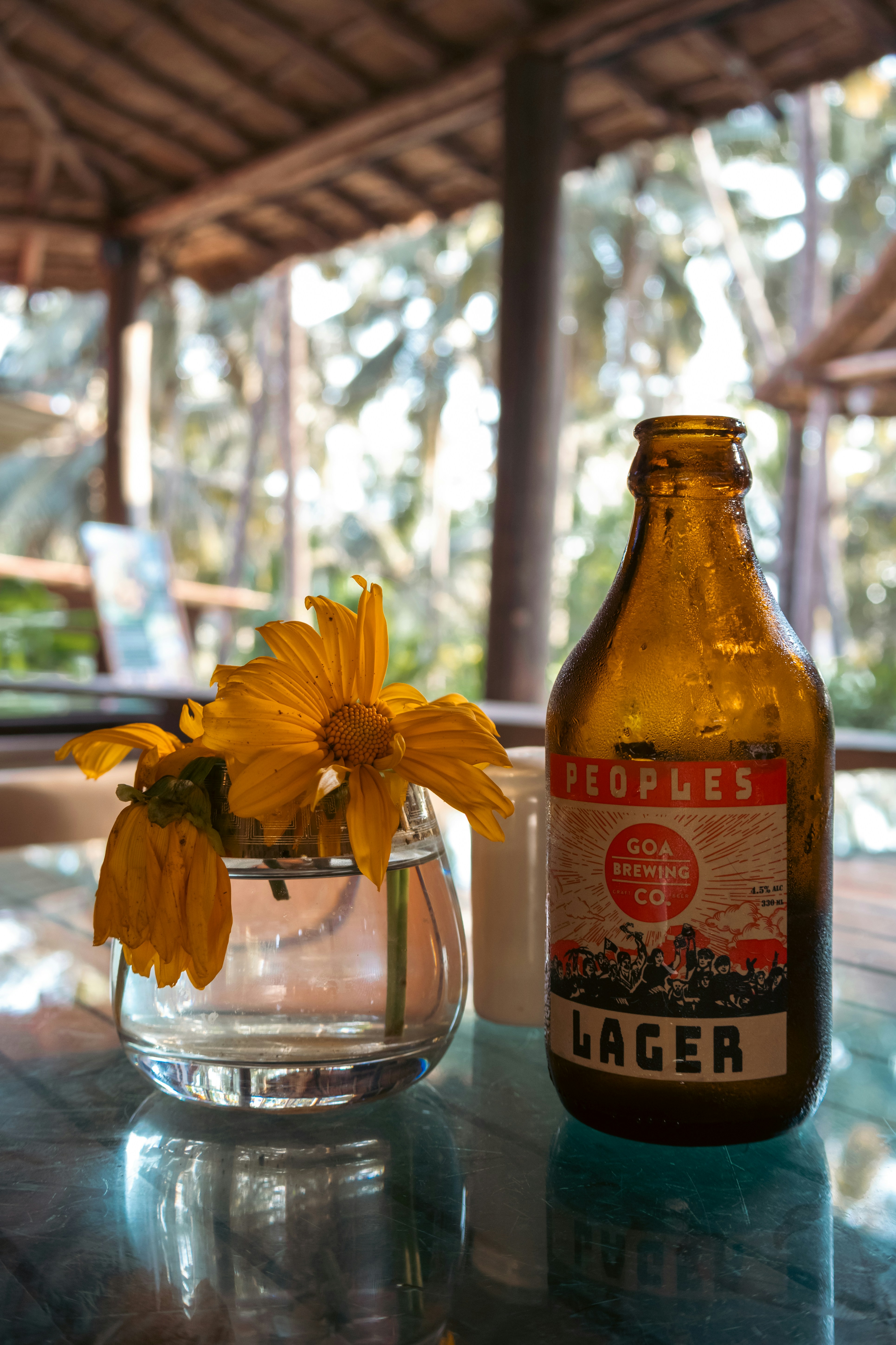 Amber Lager and Daisies on a Turquoise Terrace Table