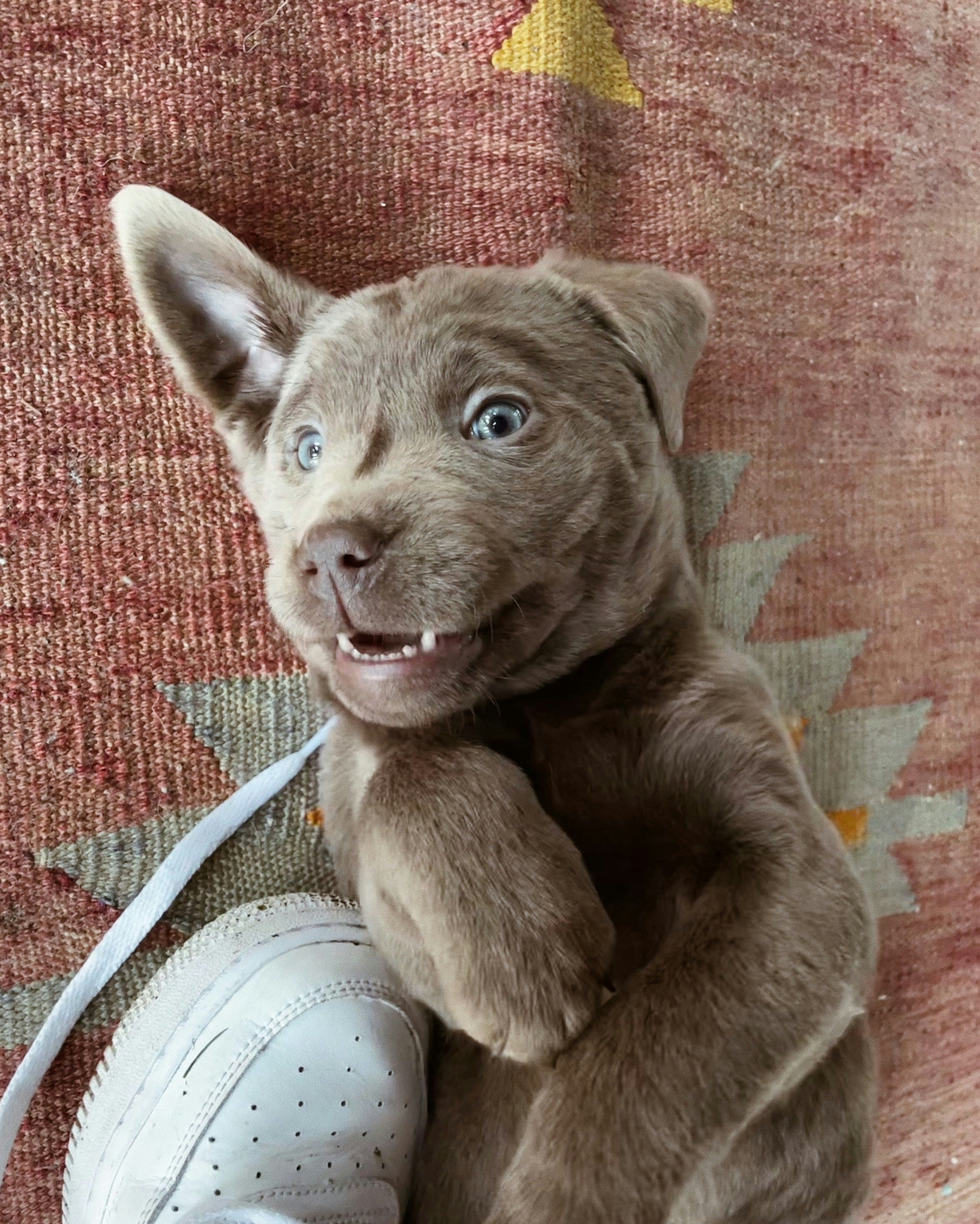 Instagram: @soofsilverlab https://www.instagram.com/soofsilverlab