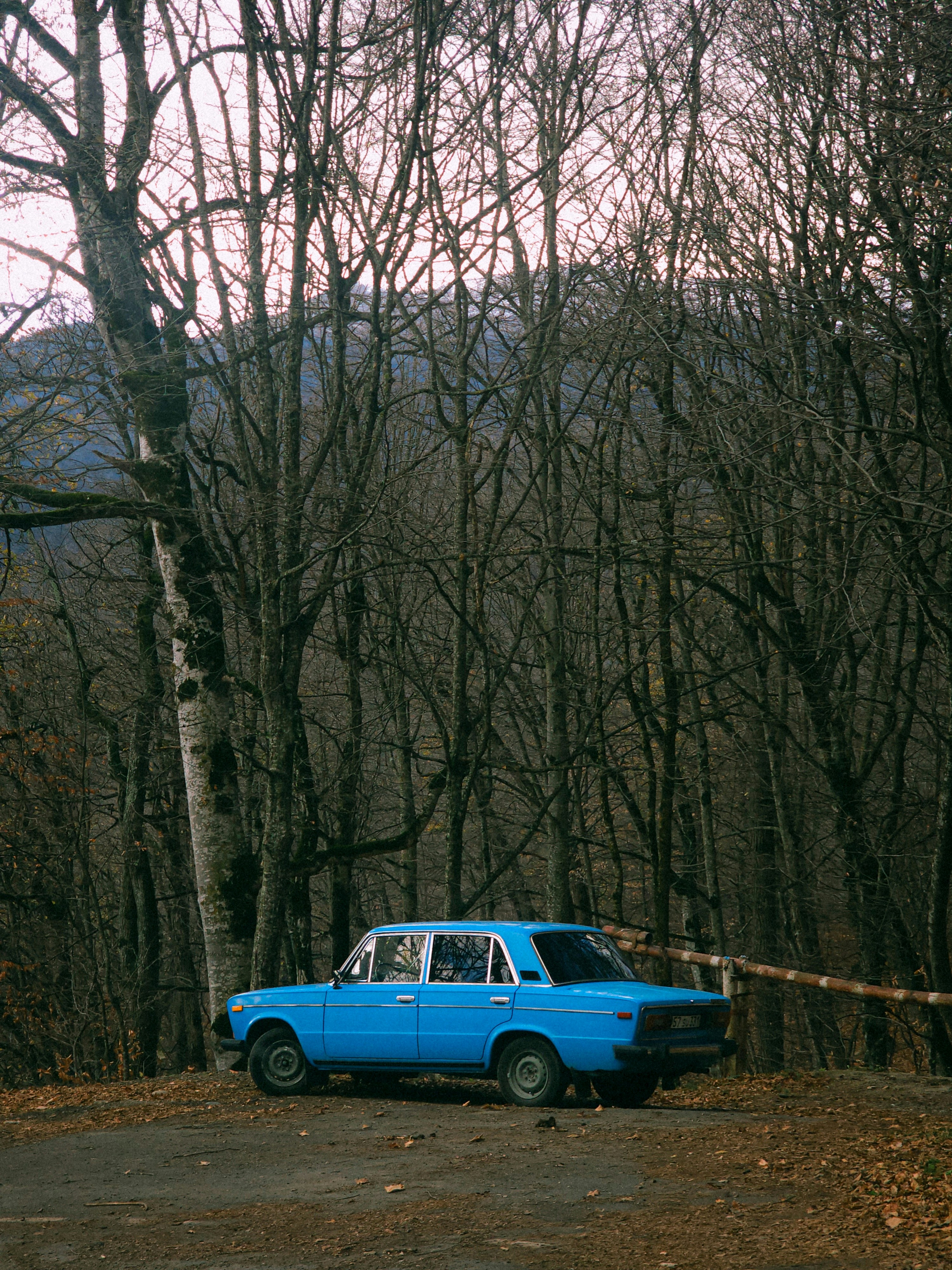 Photo by Mohammed Nabeel with Samsung Galaxy S23 Ultra