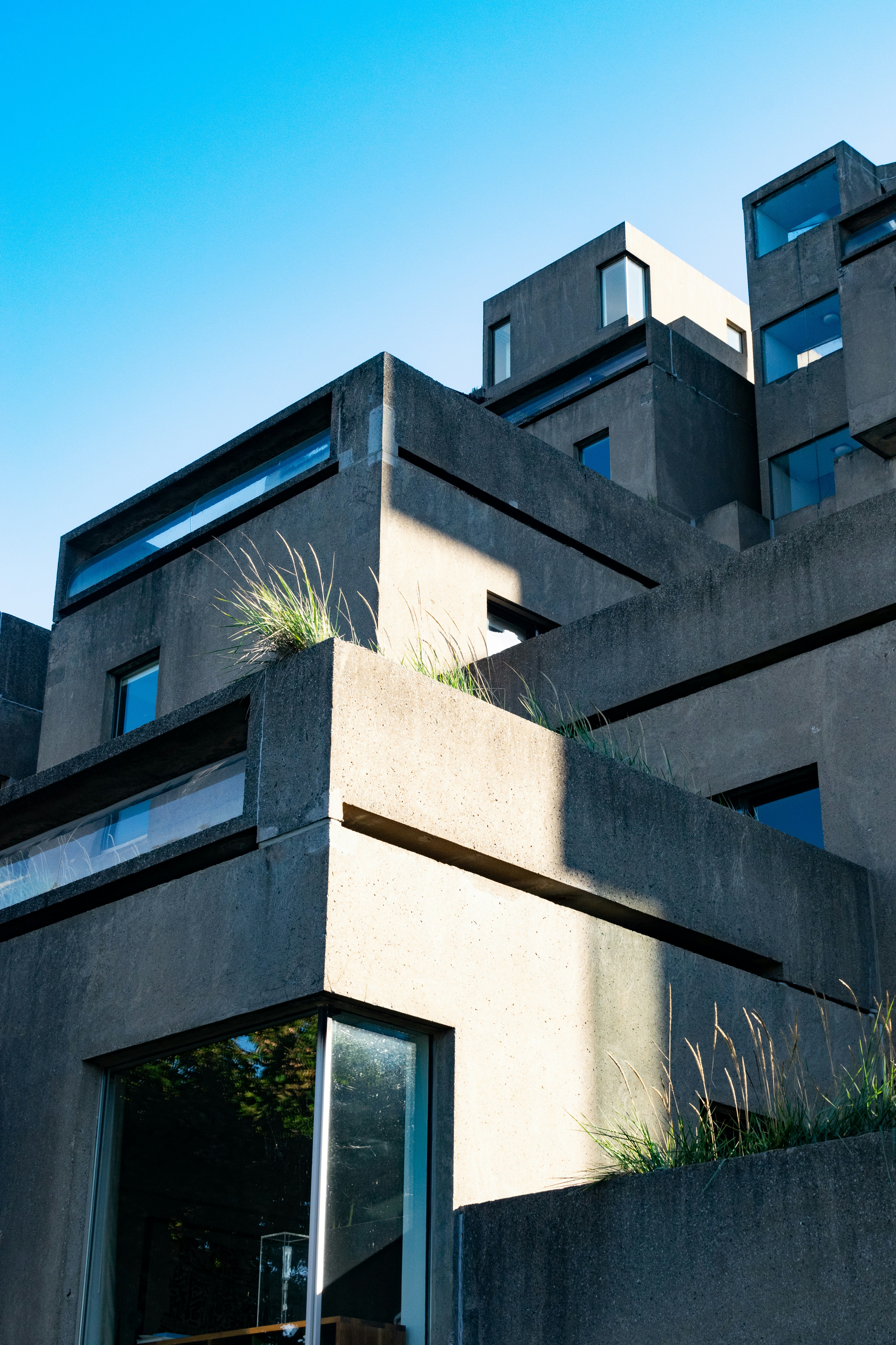 Grass on Concrete: Terraced Brutalism Under a Bright Sky
